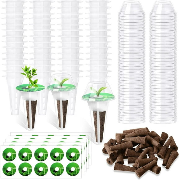 Hydroponic Starter Kit