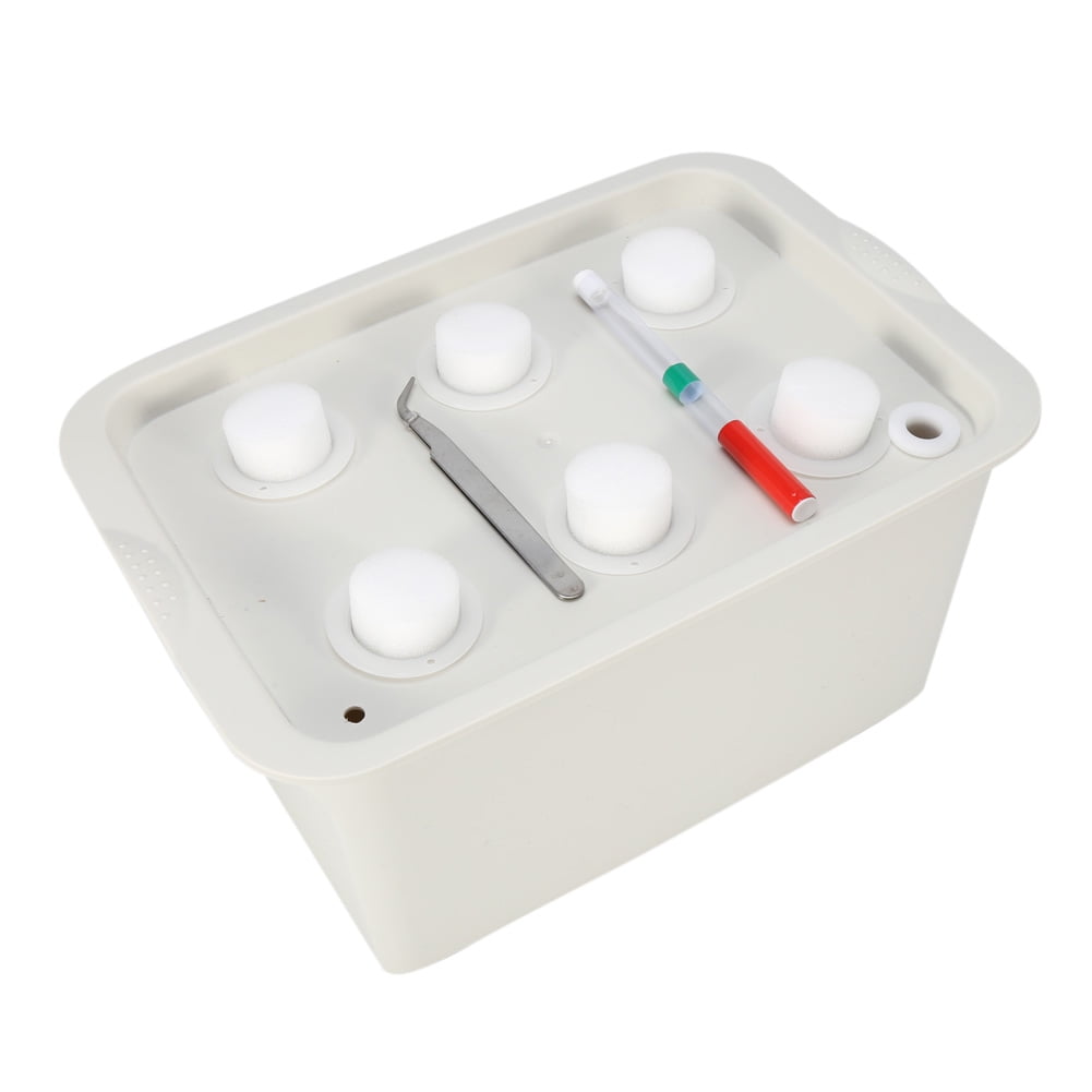 Hydroponics Growing System,6 Holes Plant Site Hydroponic System Grow ...