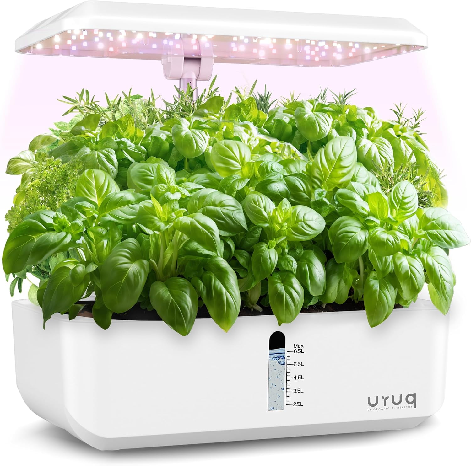 Hydroponics Growing System Indoor Garden 12 Pods Indoor Gardening System with LED Grow Light ...