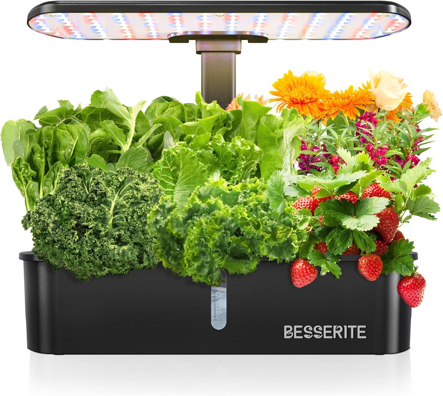 Hydroponics Growing System Kit 12 Pods,Indoor Herb Garden with Light ...