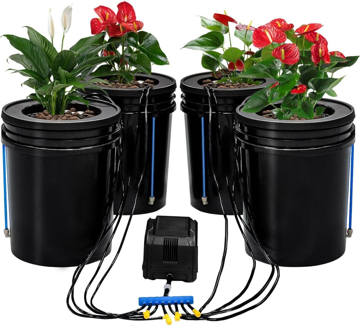Hydroponics Growing System Kit with Top Drip 5 Gallon 4-Bucket ...