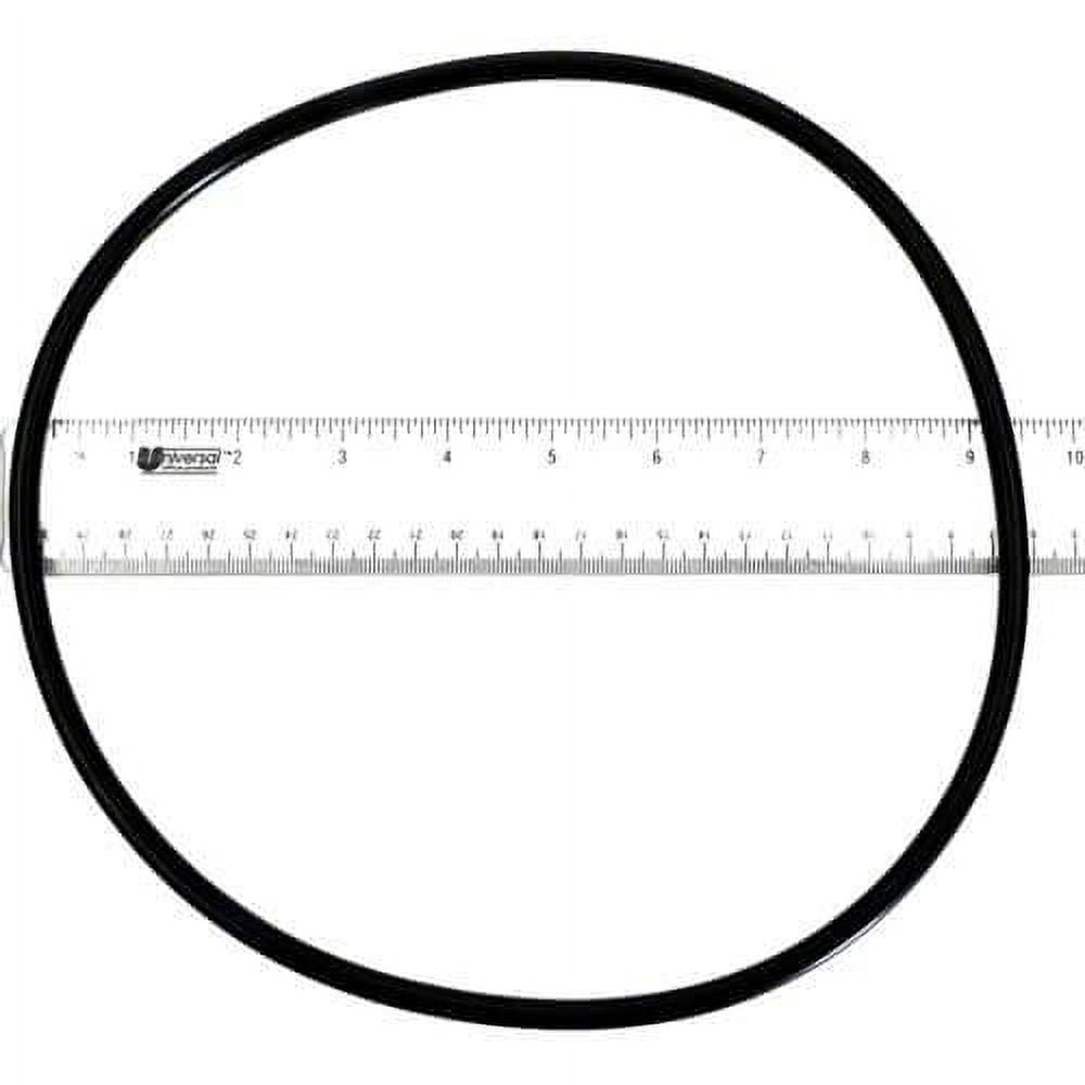 Hydroseal Replacement O-Ring for Clean and Clear Predator Body, 9-1/2in ...