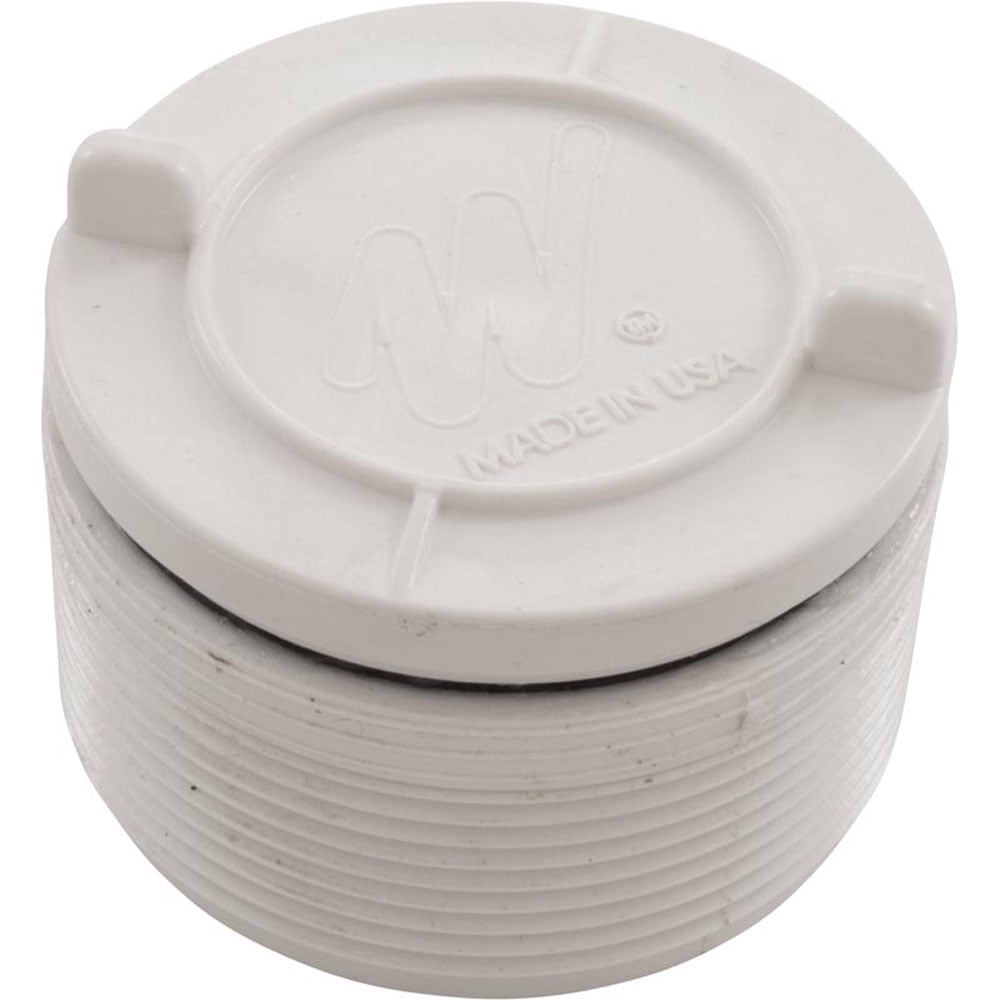Hydrostatic Relief Valve, Waterway, 2" mpt, White - Walmart.com