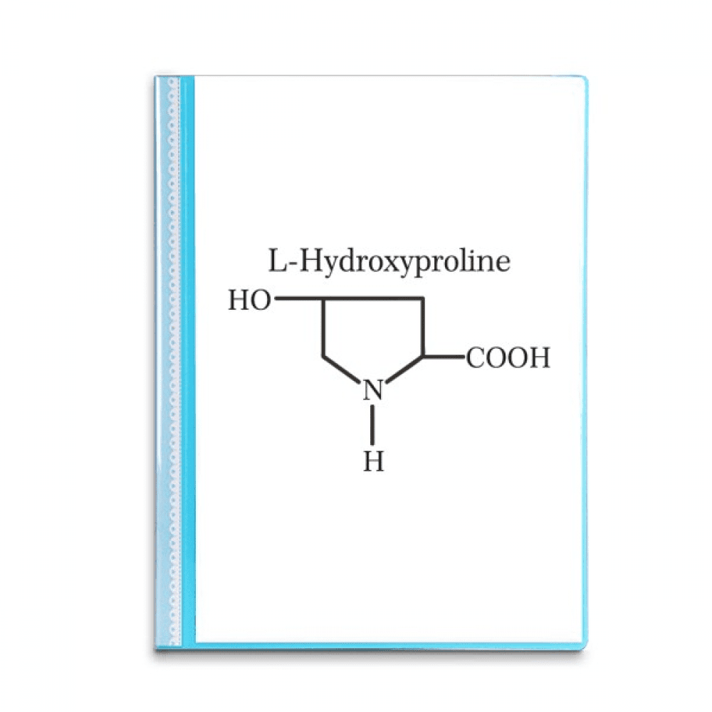 Hydroxyproline Structural Chestry Book Sheet Protectors Portfolio ...