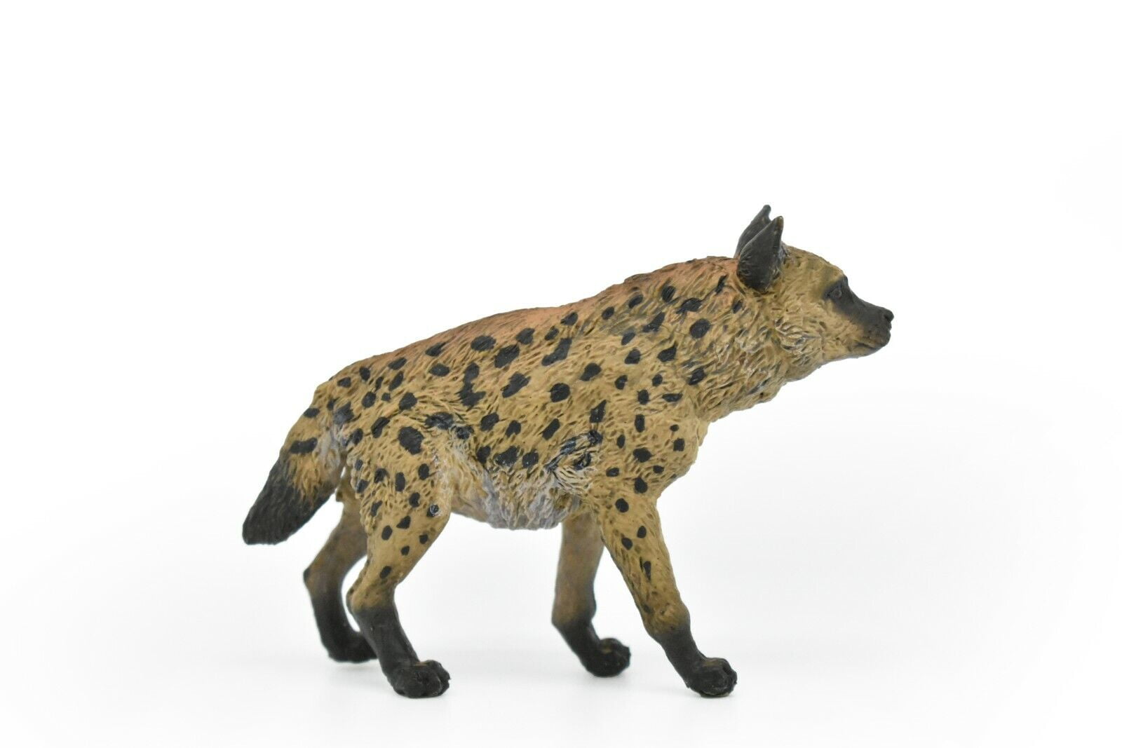 Spotted Hyena Figure, Realistic, Museum Quality Rubber Replica, 3.5 ...