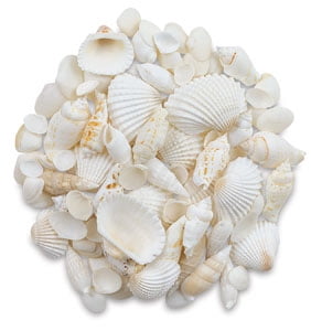 Hygloss Bucket O' Shells - Walmart.com