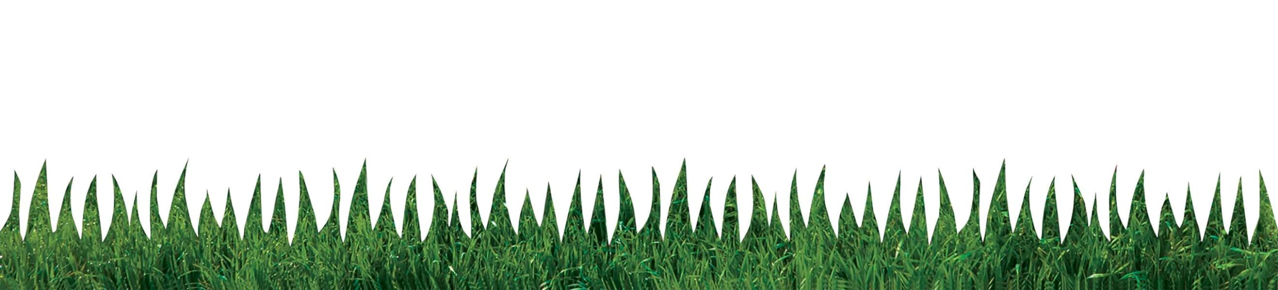 Hygloss Products Die-Cut Bulletin Board Border – Natural Grass Design ...