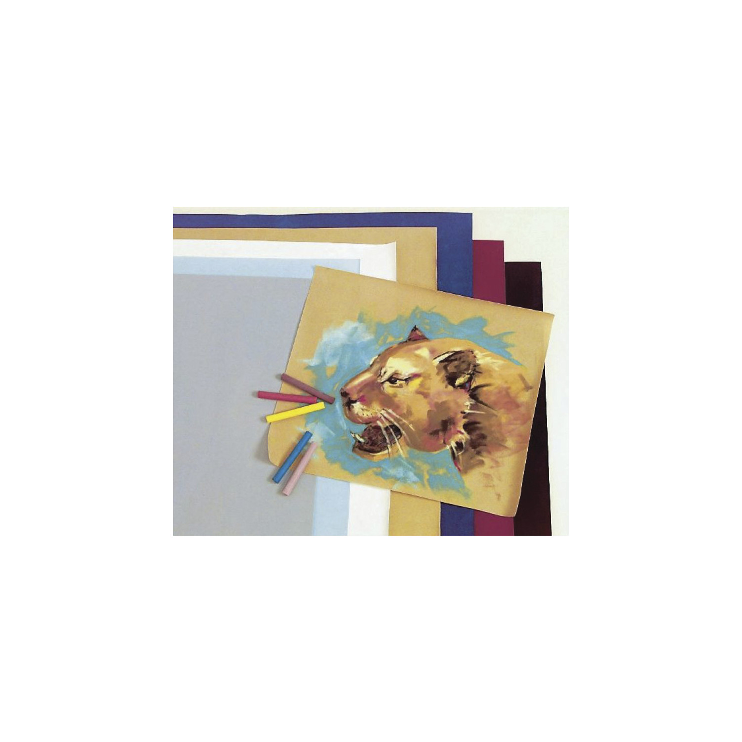 Hygloss Velour Paper, 20 x 27 Inches, Assorted Colors, 24 Sheets ...