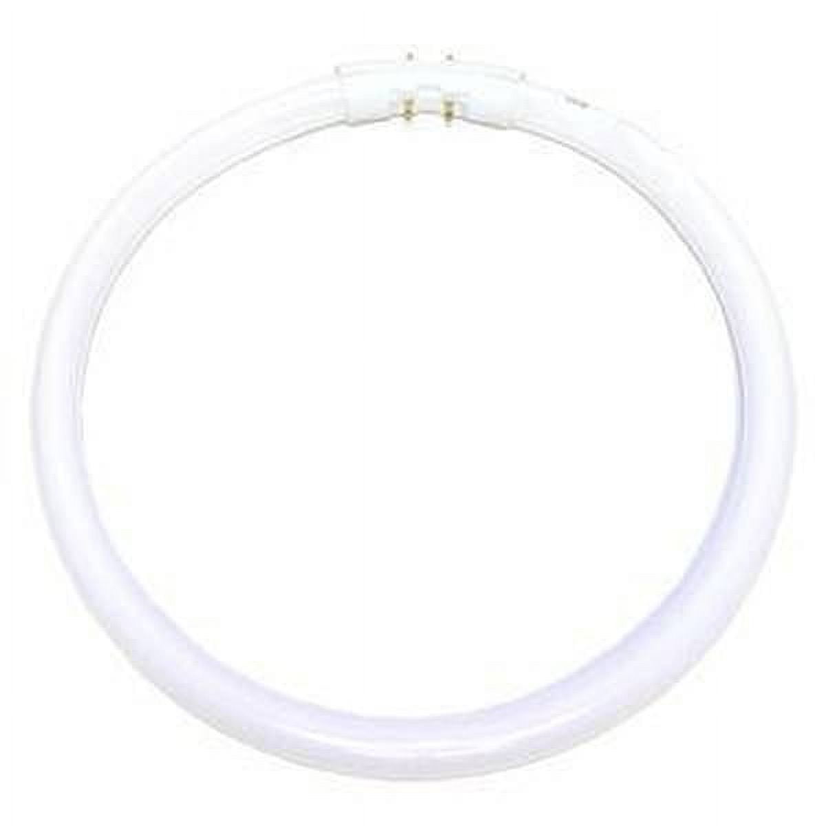Hygrade Satco S8155 22 Watt T5 Circline Fluorescent 3000K Warm White 82 ...