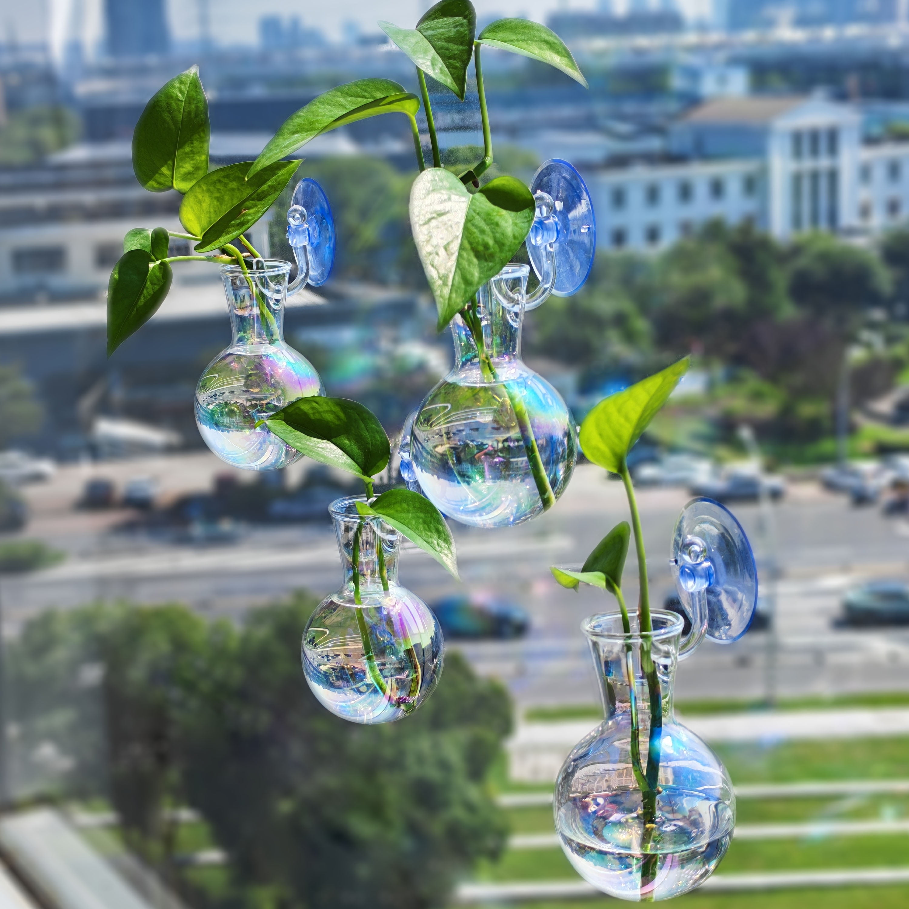 Hyindoor 4 PCS Iridescent Window Plant Propagation Stations Glass Bulb ...