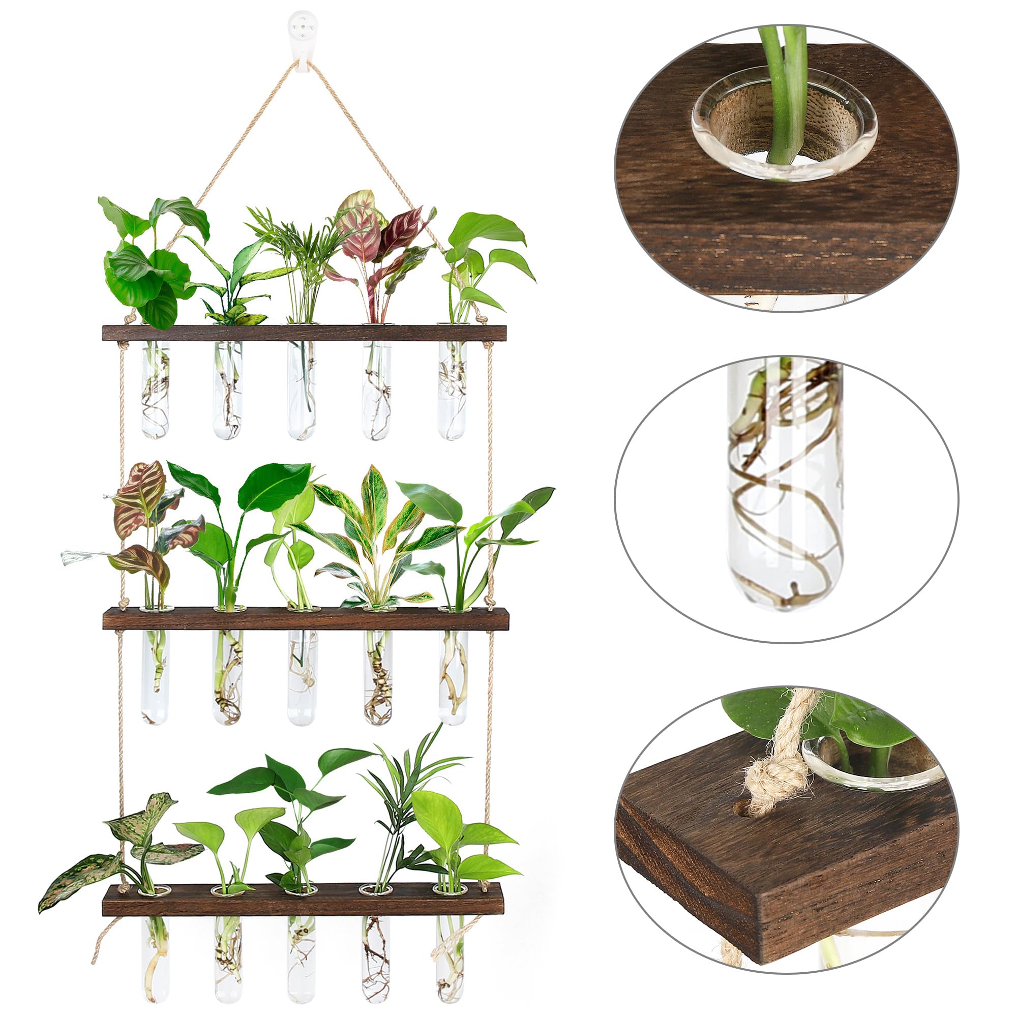 Hyindoor Propagation Station with 8 Glass Tubes Wall Hanging Planter ...