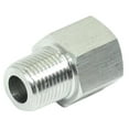Hyjoy 1 Piece 3/8 NPT Male To 3/8 BSPP Female Pressure Gauge Adapter 304 Pipe - Walmart.com