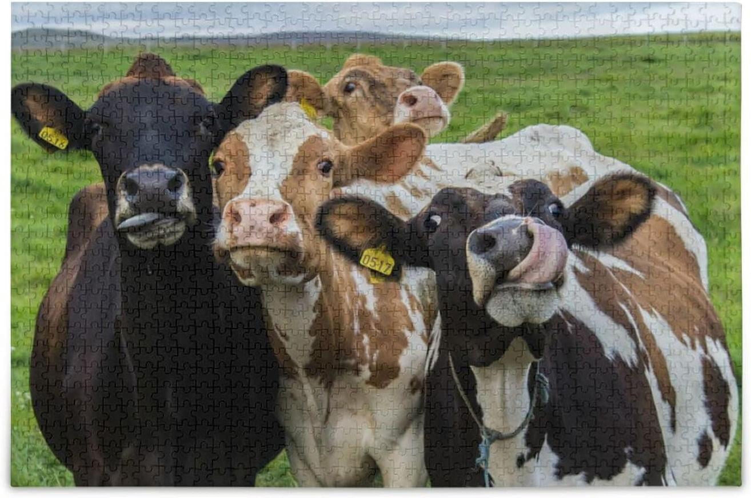 Hyjoy 1000Pcs Four Interesting Cows Wooden Jigsaw Puzzles Intellectual ...