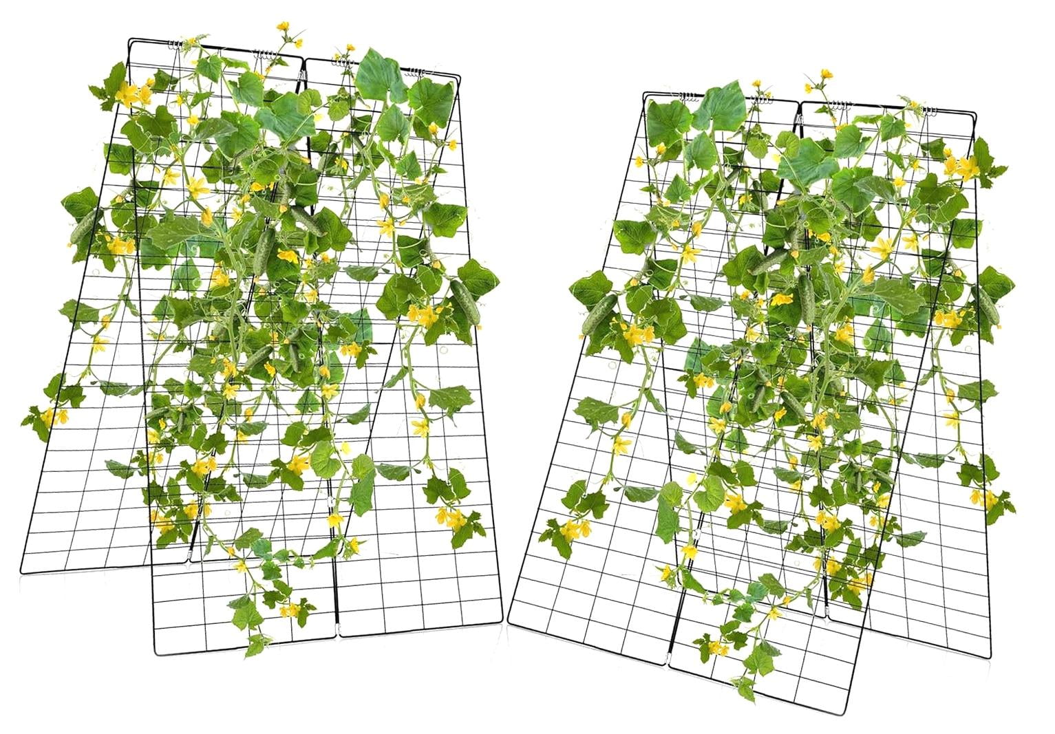 Hyjoy 2-Pack Garden Cucumber Trellis, 46 x 34 inch Plant Support with ...