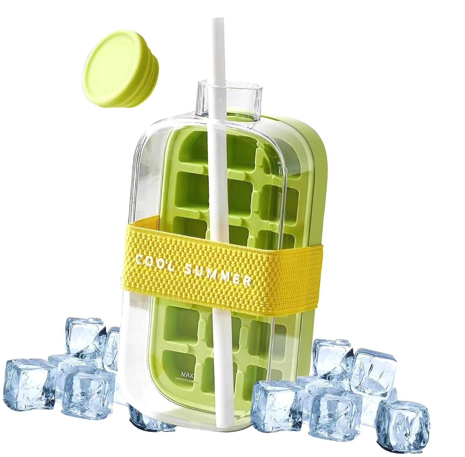 Hyjoy 2-in-1 Storage Container, 18 Cubes, Includes Lid and Bin, Freezer ...