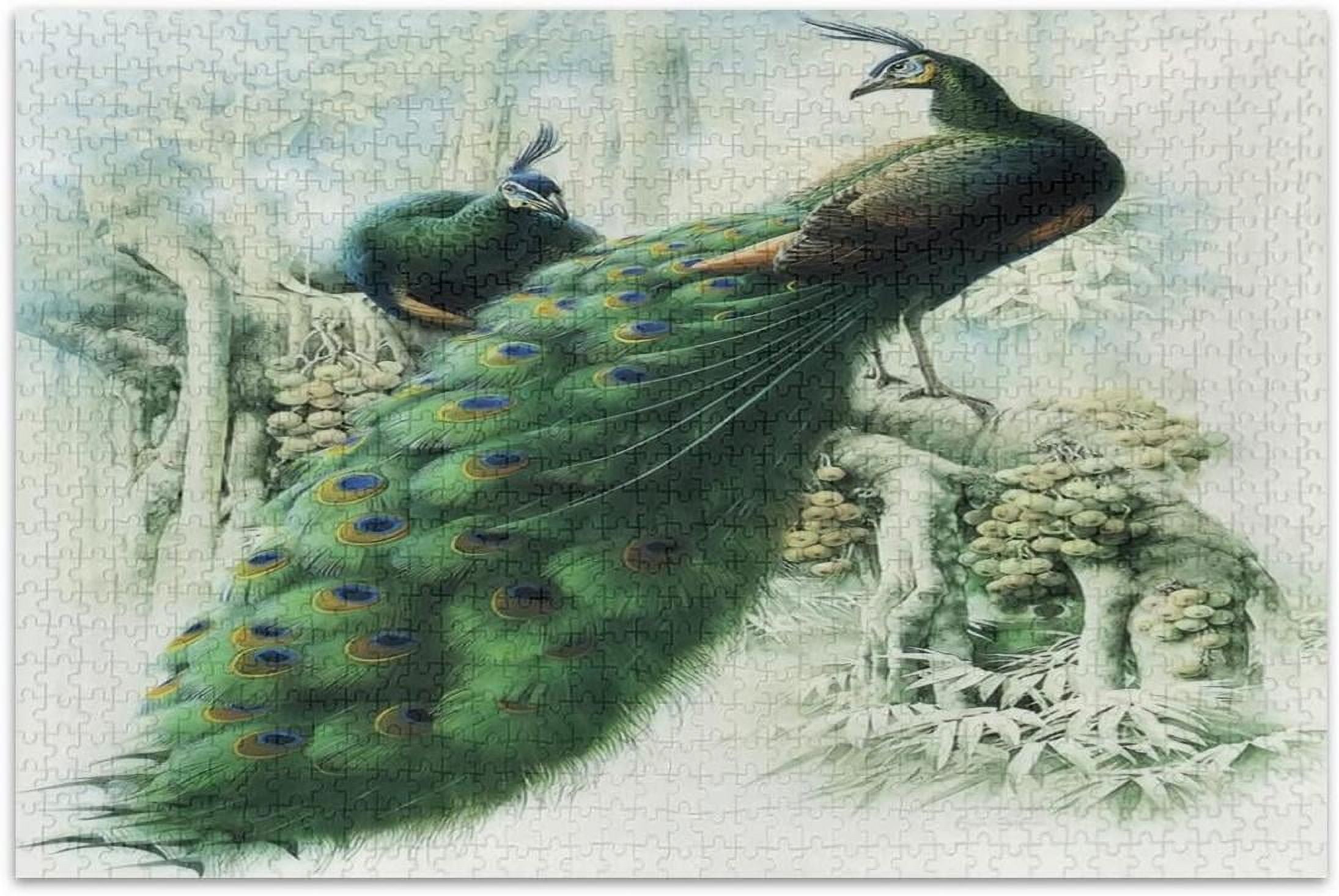Hyjoy 20 x 15in 500Pcs Peacock Jigsaw Puzzles for Adults Large Puzzle ...