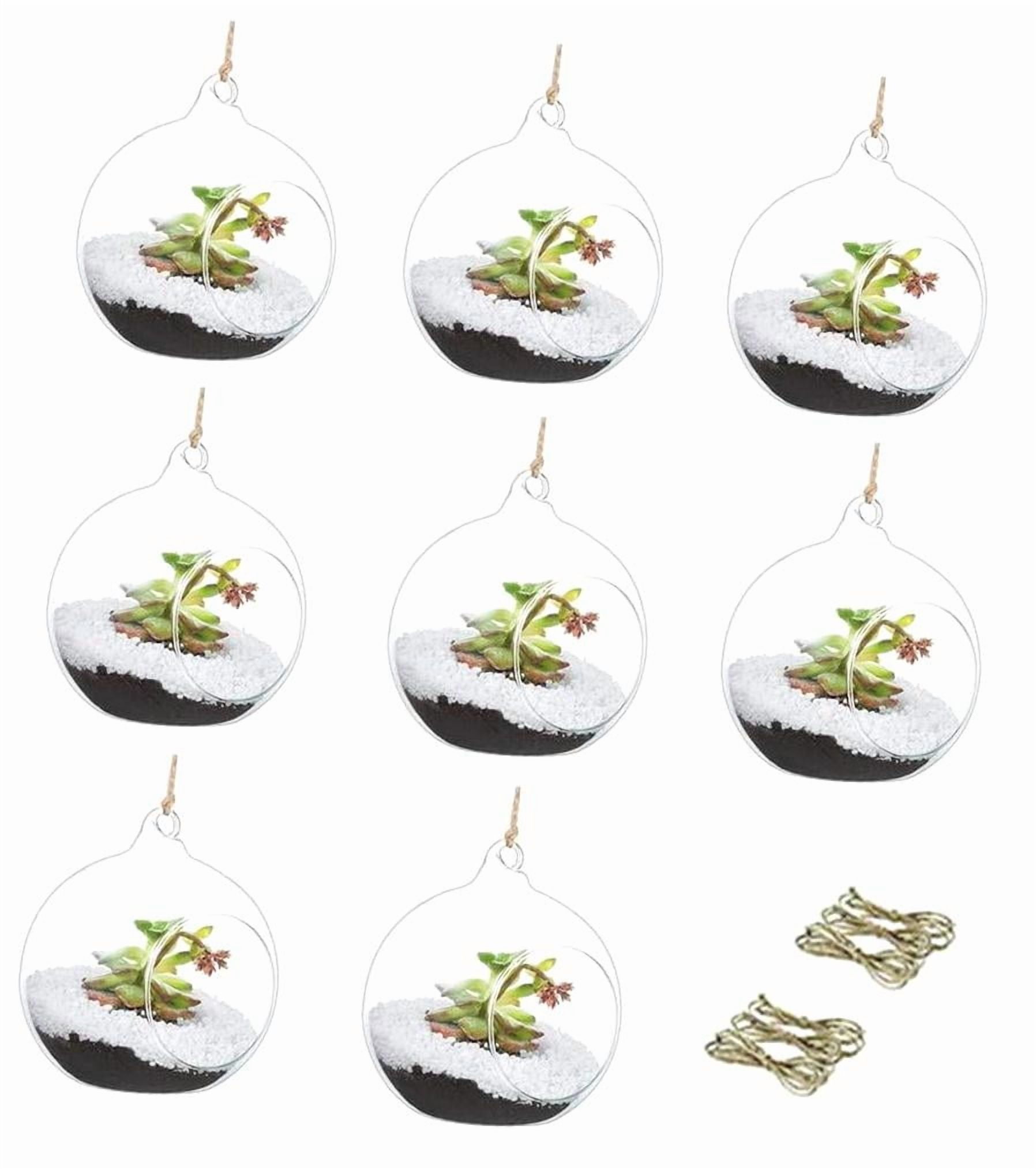 Hyjoy 4 Pcs Hanging Glass Terrarium Plants, 4" Diam Planter Terrariums ...