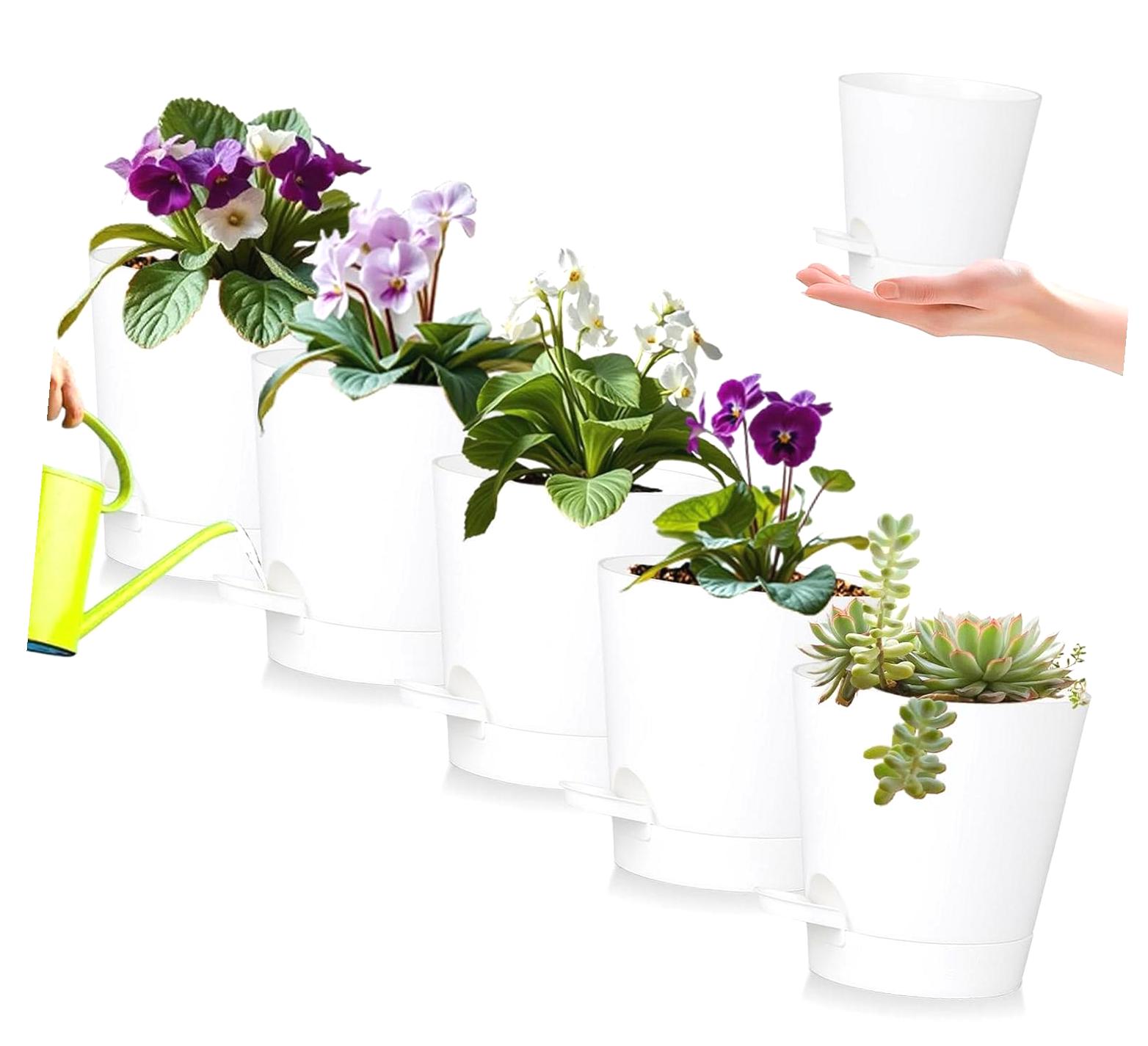 Self Watering Containers For African Violets