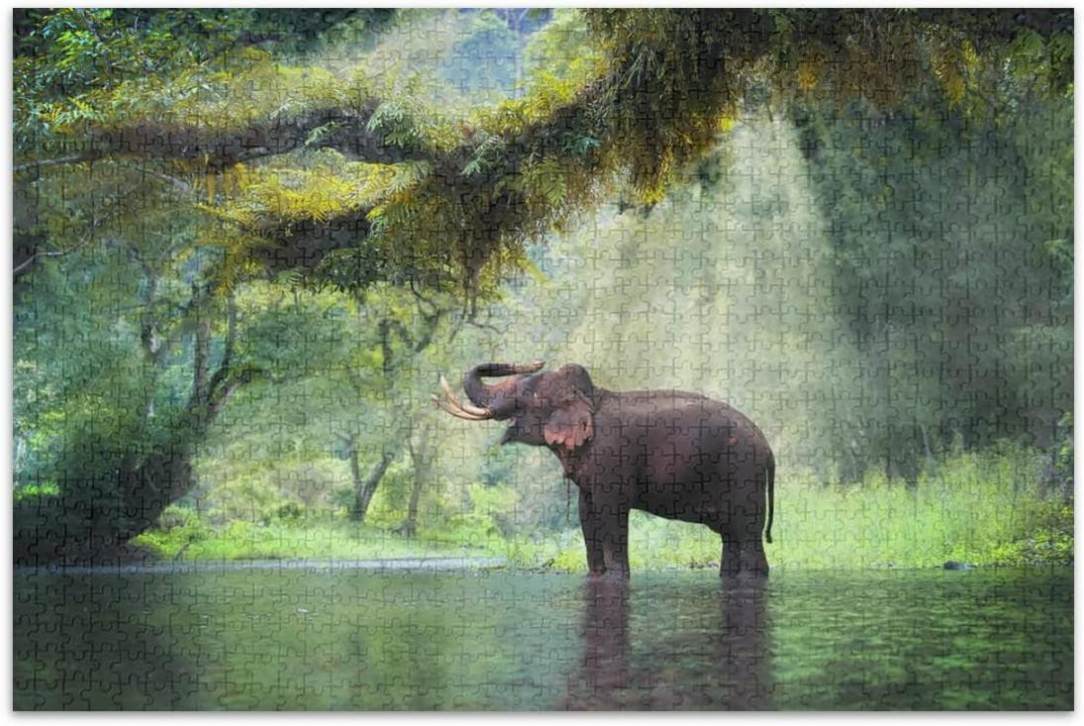 Hyjoy Elephant Jigsaw Puzzles 1000 Piece for Adults Large Puzzle Game ...