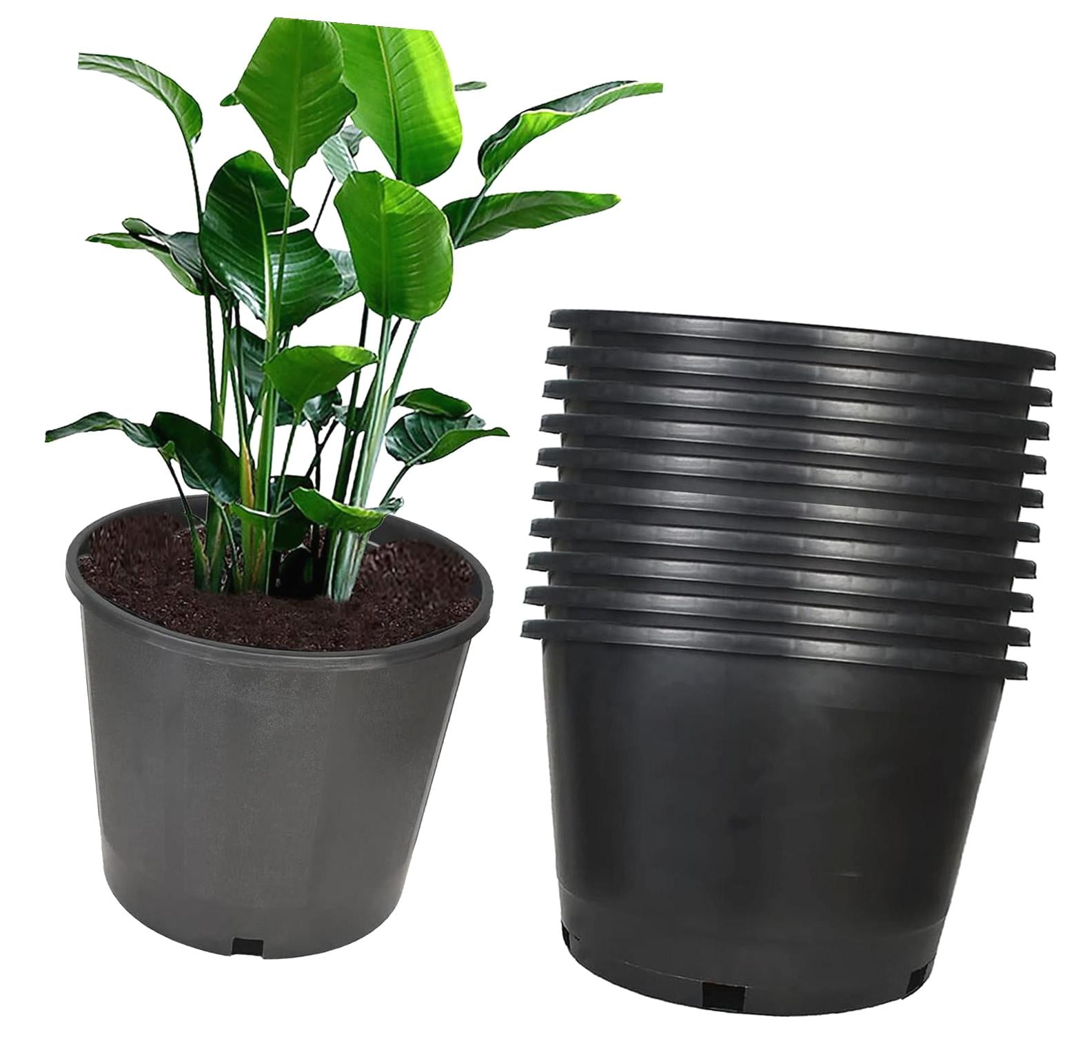 Hyjoy Garden Plastic Planter Nursery Containers - 10 Pieces 2 Gallon Round Planters for Indoor ...