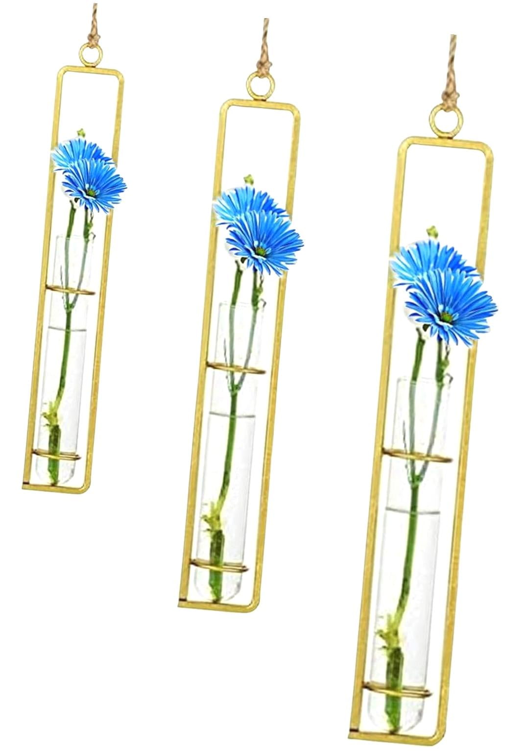 Hyjoy Hanging Glass Planter - Hydroponic Plant Propagation Test Tube ...