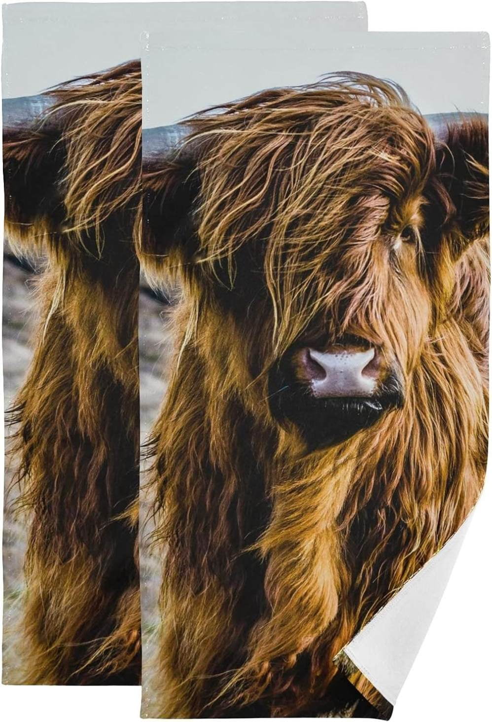 Hyjoy Highland Cow Hand Towels Ultra Soft Absorbent Fingertip Bath ...