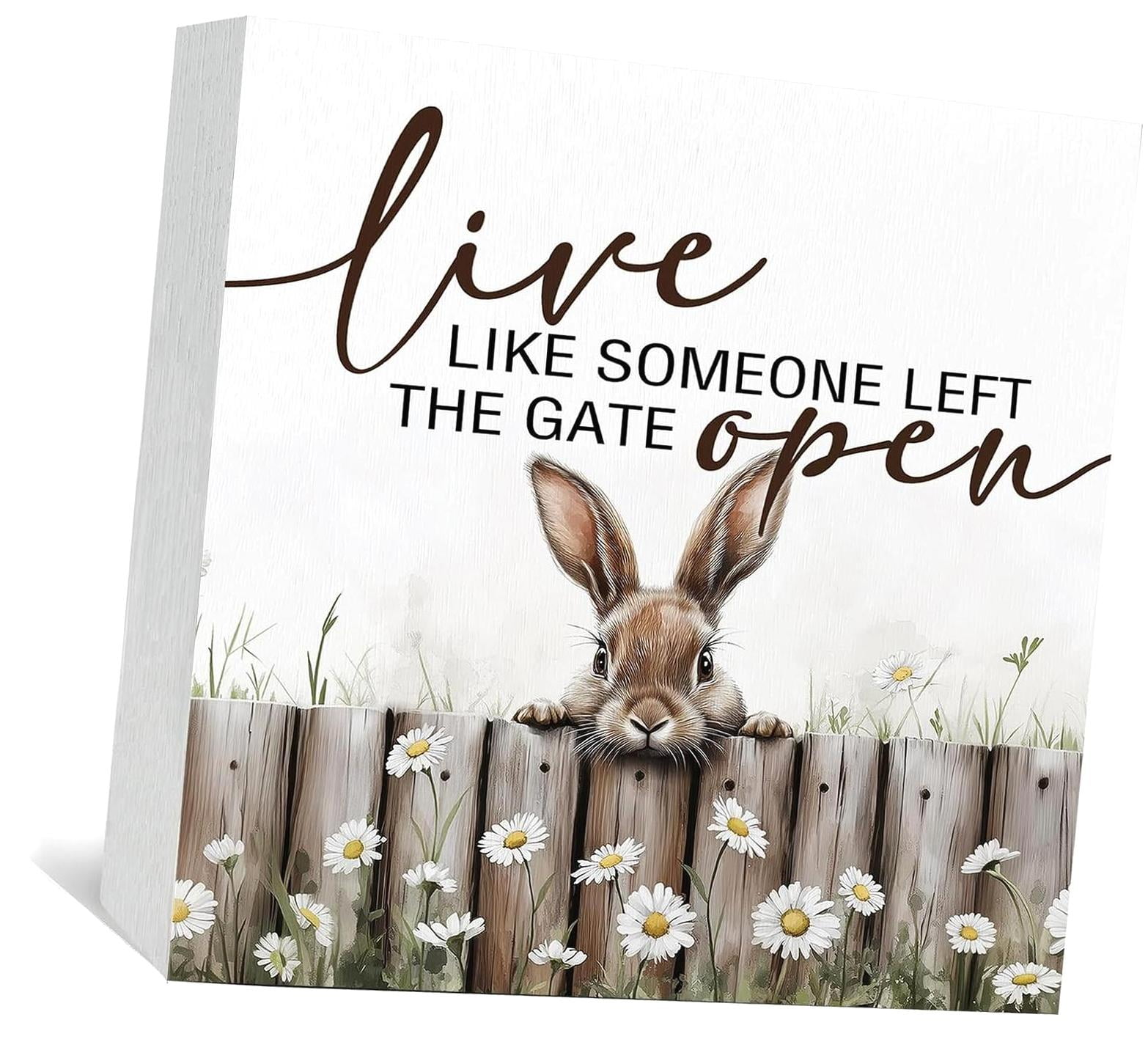 Hyjoy Live Someone Left the Gate Open Rabbit Wooden Signs, Farm ...