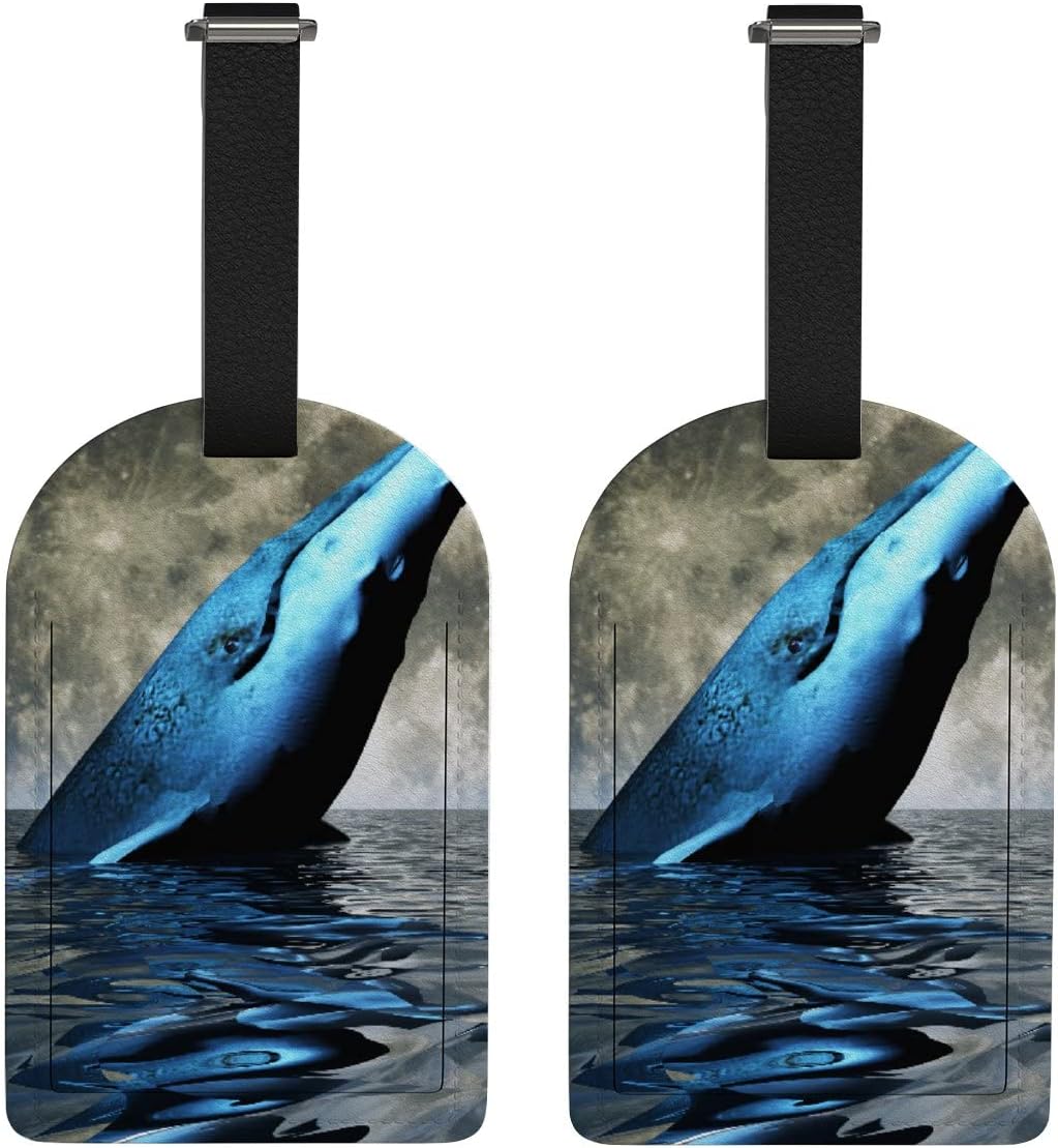 Hyjoy Luggage Tag Whale on Oceans Full Back Privacy Name ID Card ...