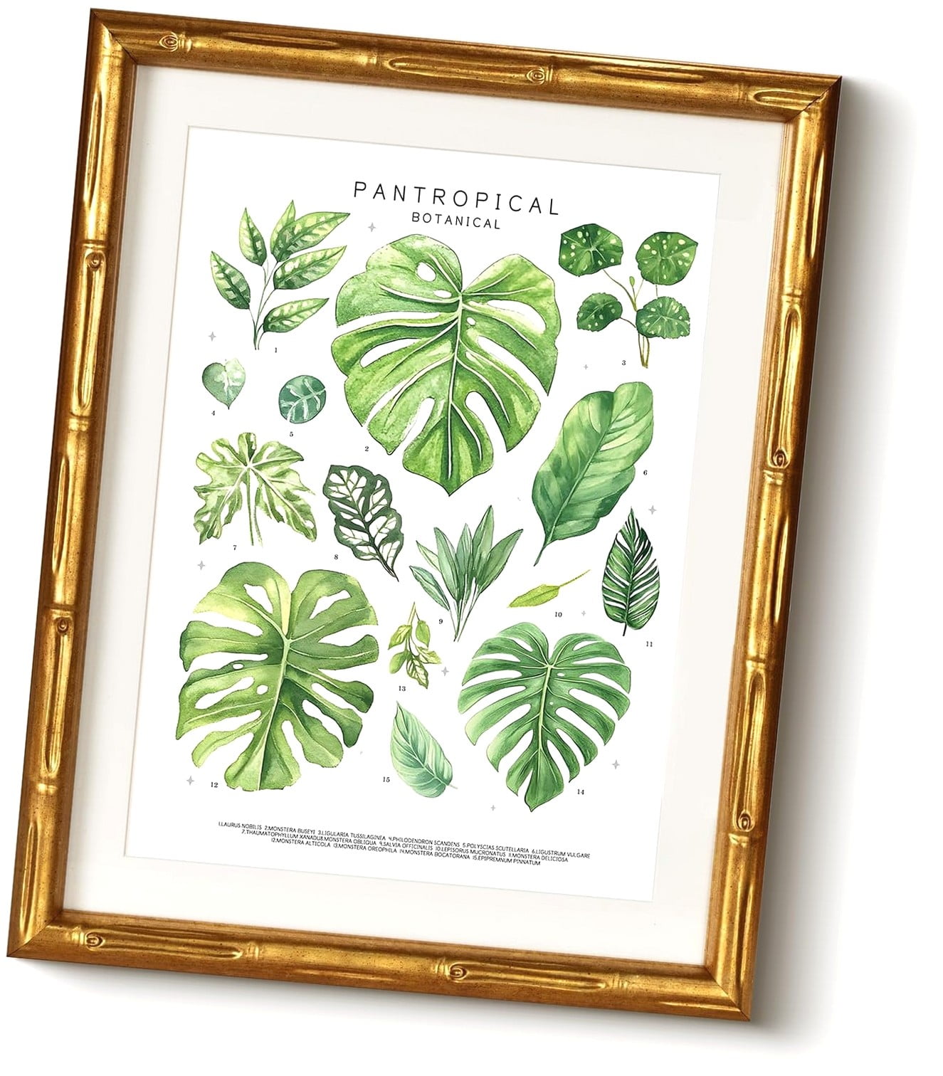 Hyjoy Pantropical Botanical Textured Wall , Nature-Inspired 11x14 Inch ...