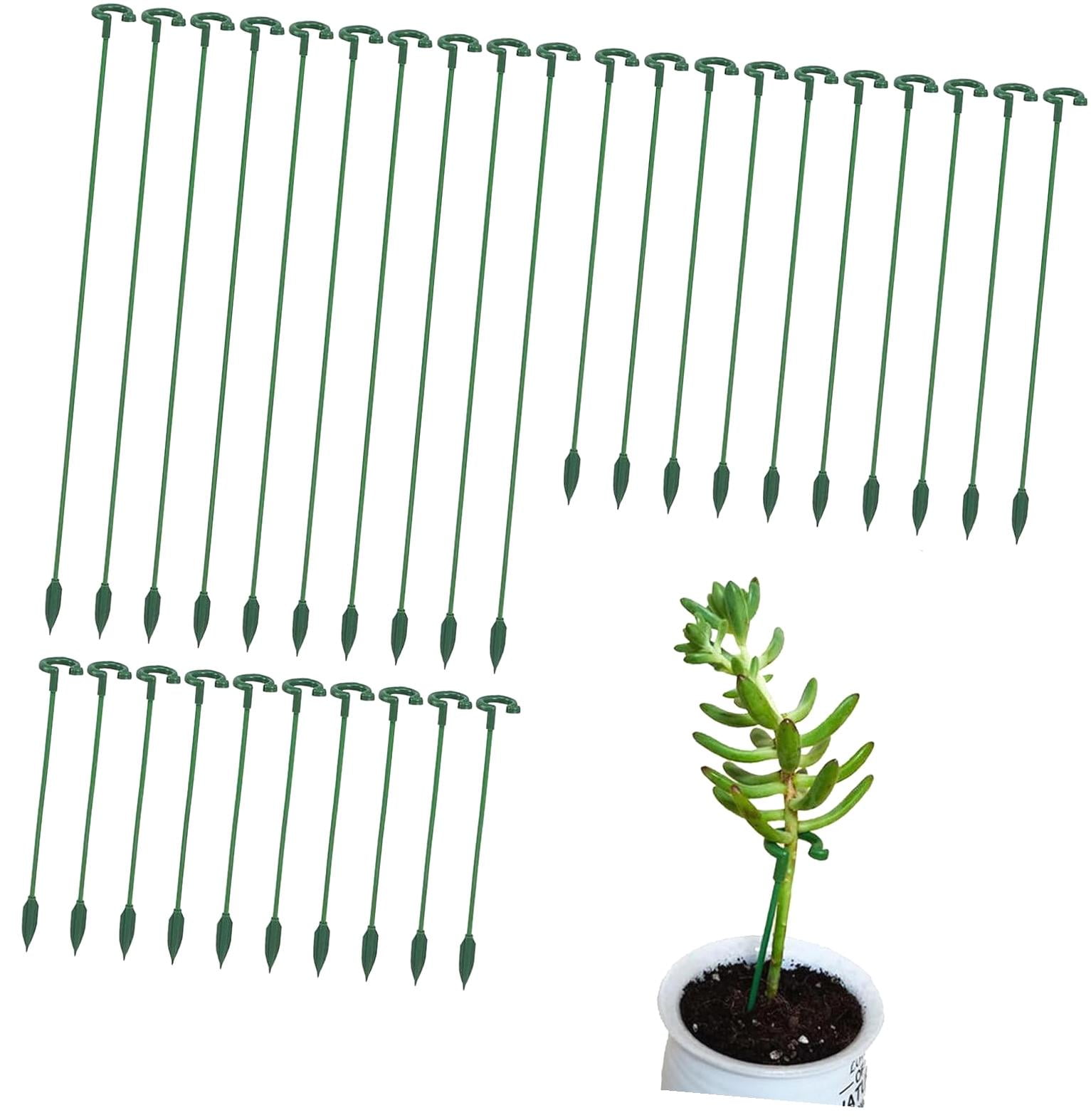 Hyjoy Set of 30 Mini Plant Supports for Houseplants in 3 Sizes 6.7/10.7 ...