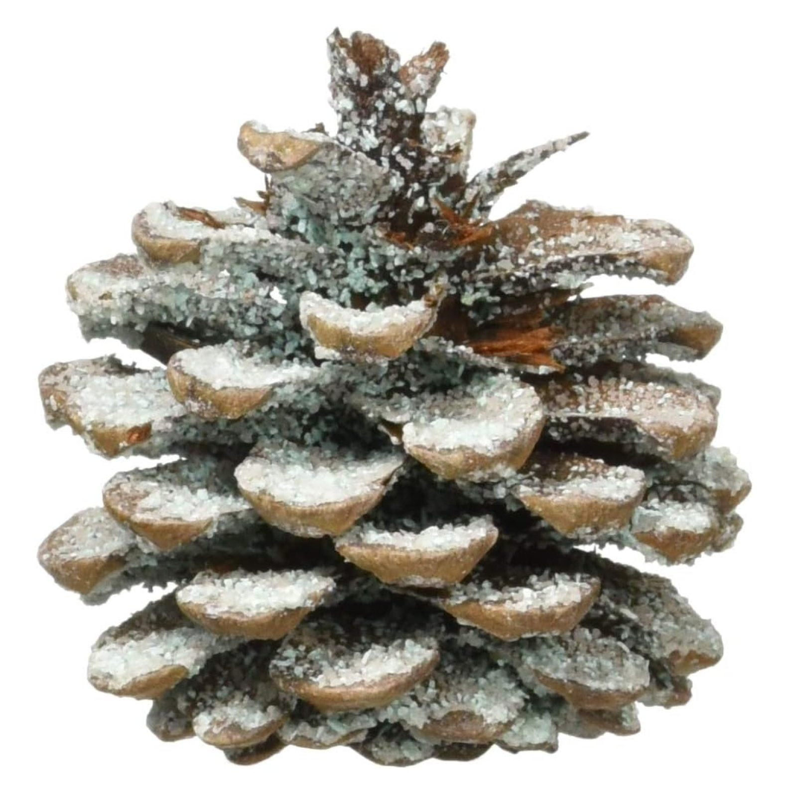 Hymkun Fireplace Color Changing Pine Cones Wood Burning Accessories ...