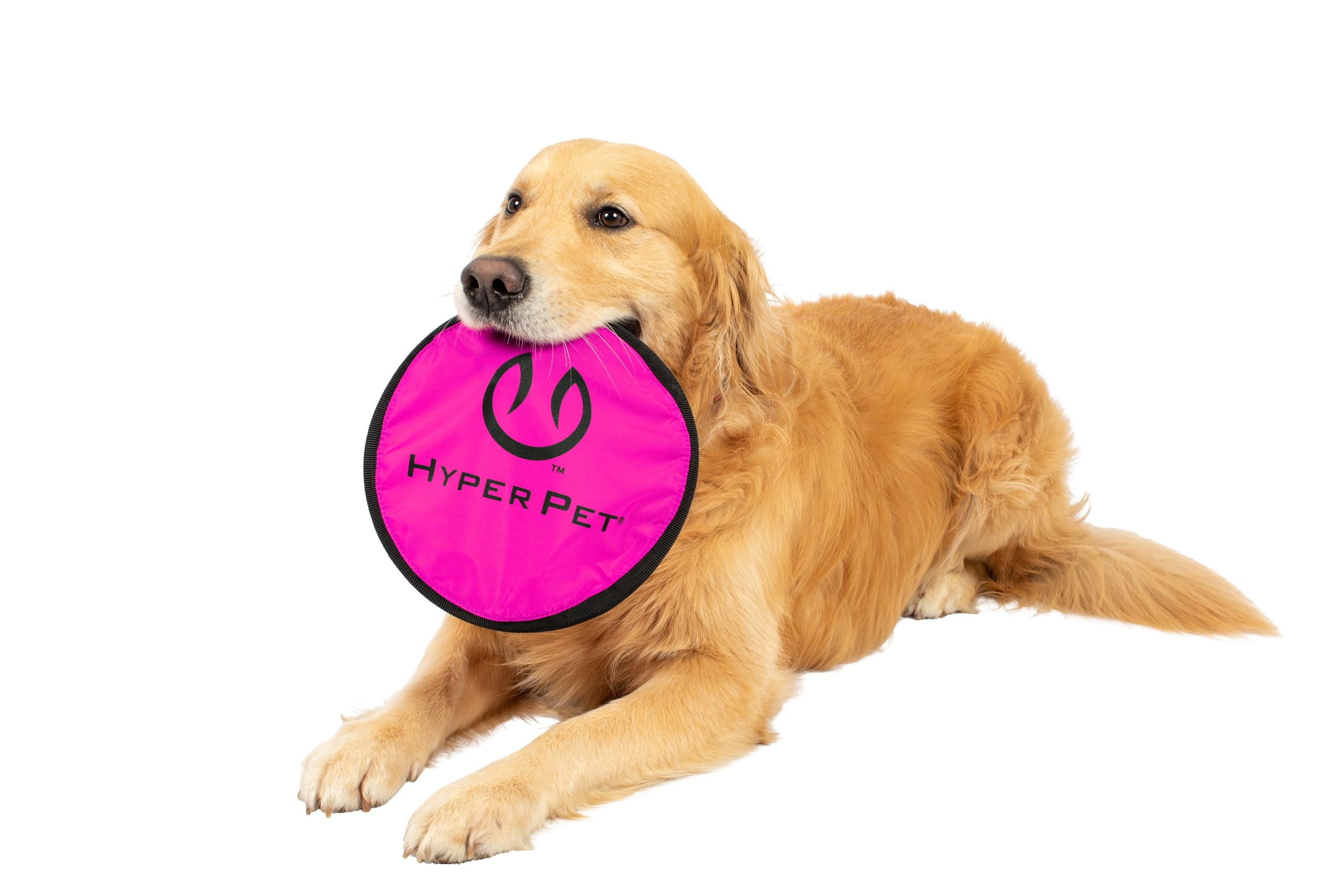 Hyper Pet Flippy Flopper DMF15 Dog Frisbee Interactive Dog Toys [Flying ...