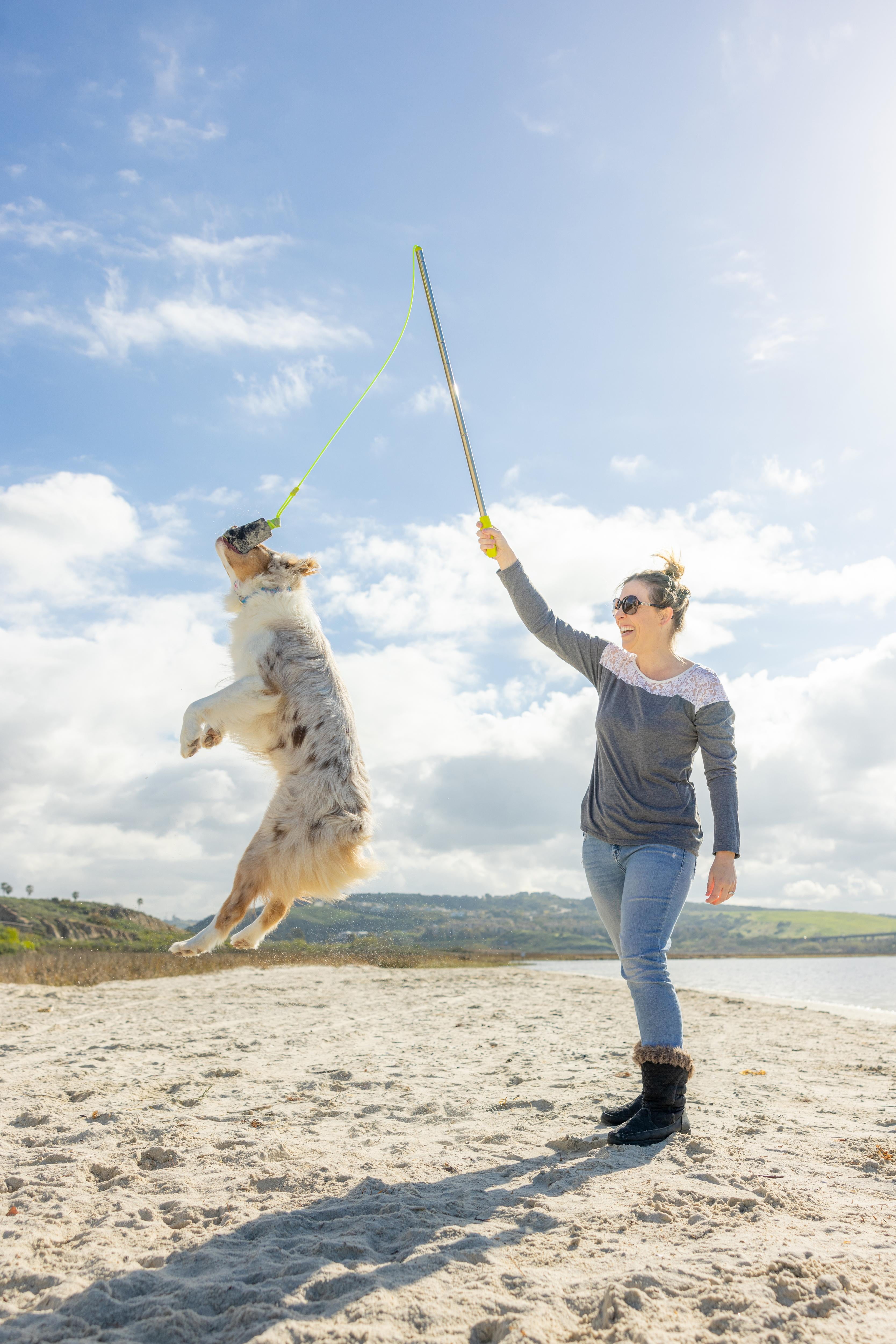 Hyper Pet Flirt Pole Interactive Teaser Pole for Dogs, Includes 3 Toy ...