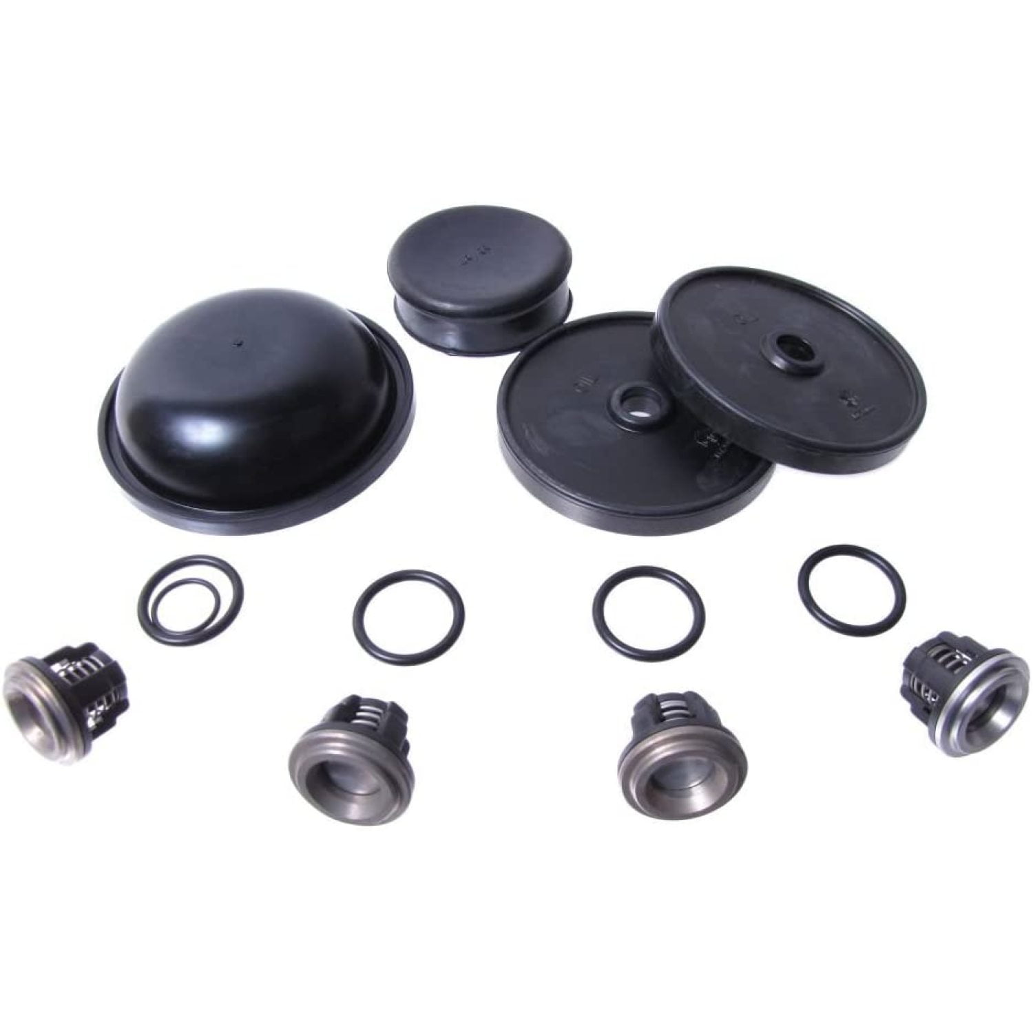 Hypro Complete Diaphragm and Valve Repair Kit for D30 Diaphragm Pump ...
