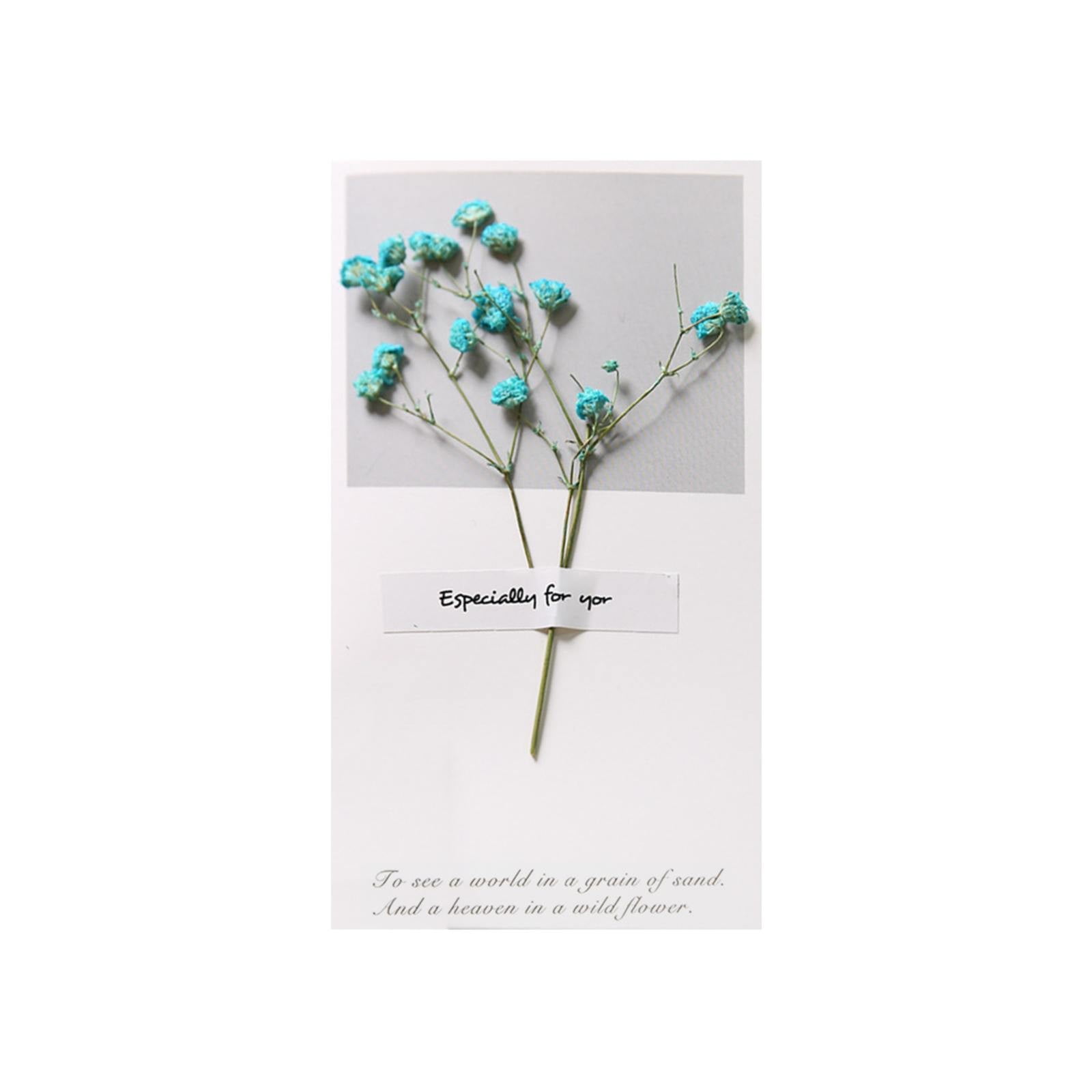 Hyrbek Greeting Card Clearance, Dried Flower Greeting Cards Mother's ...