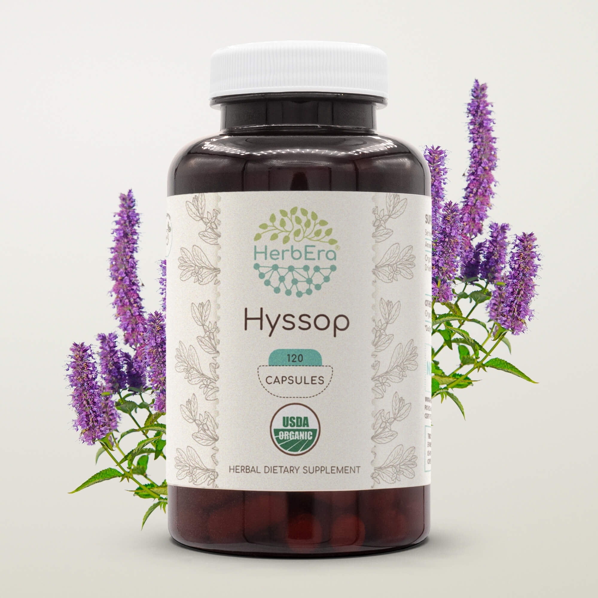 HerbEra Hyssop Capsules, Organic Herbal Dietary Supplement for ...