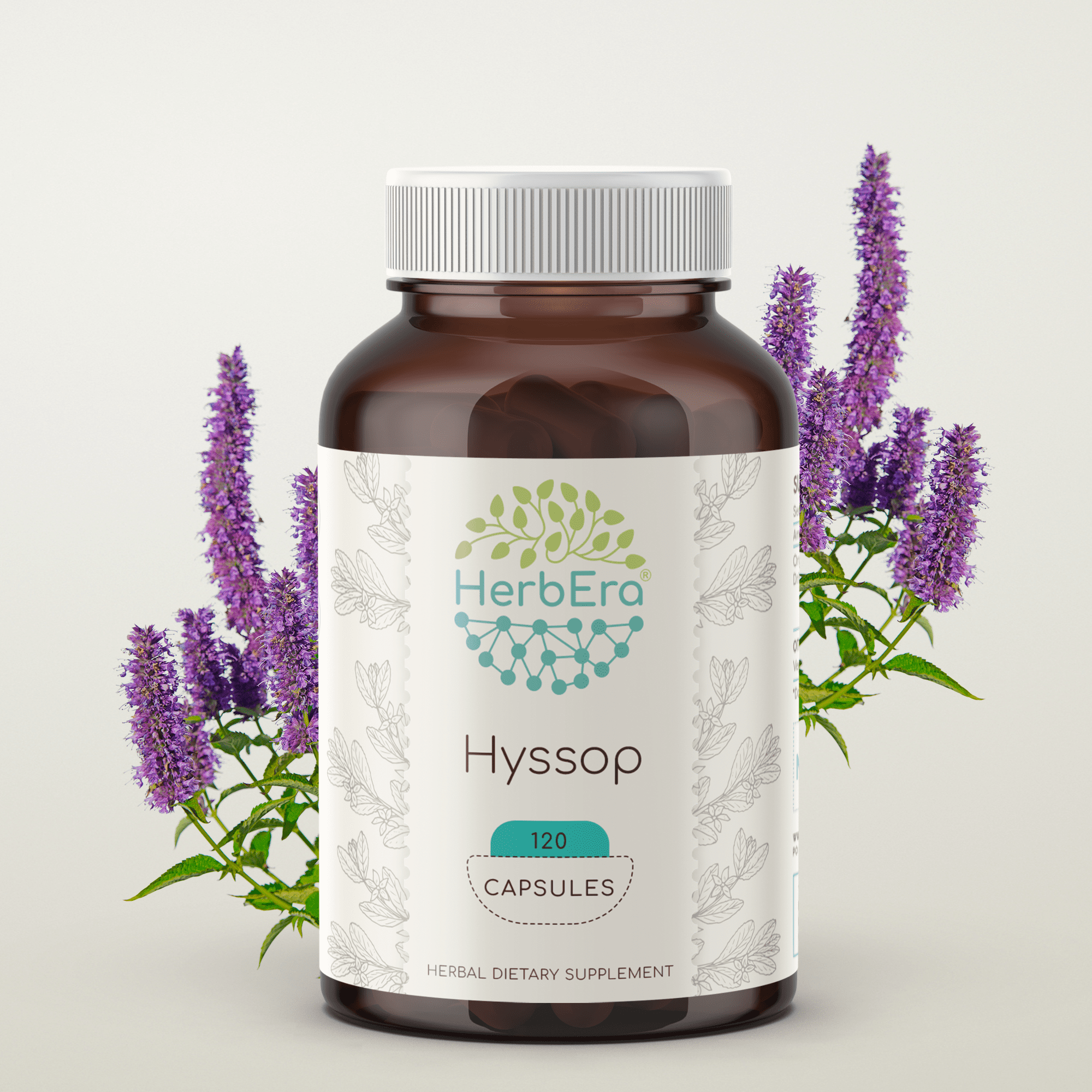 Hyssop 120 Capsules, 500 mg, Organic Hyssop (Hyssopus officinalis ...