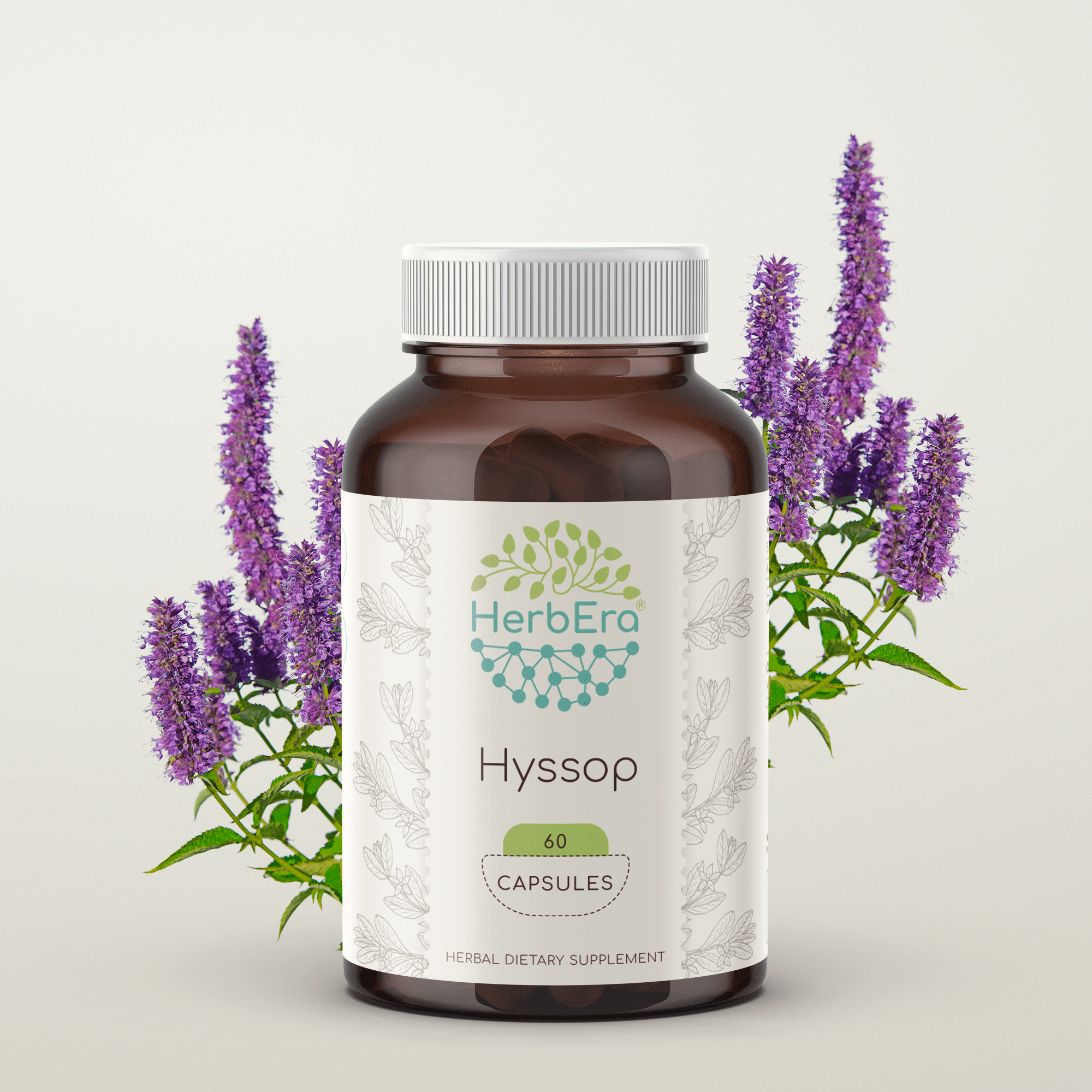 Hyssop 60 Capsules, 500 mg, Organic Hyssop (Hyssopus officinalis) Dried ...