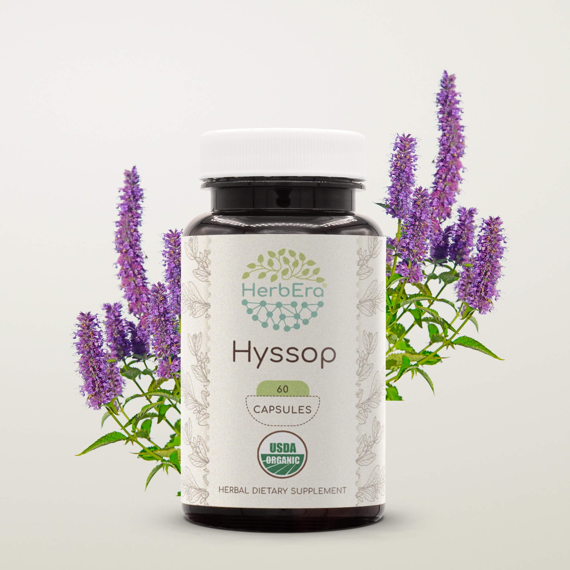 Herbera Hyssop Capsules, Herbal Supplement for Respiratory Support, 60 ...