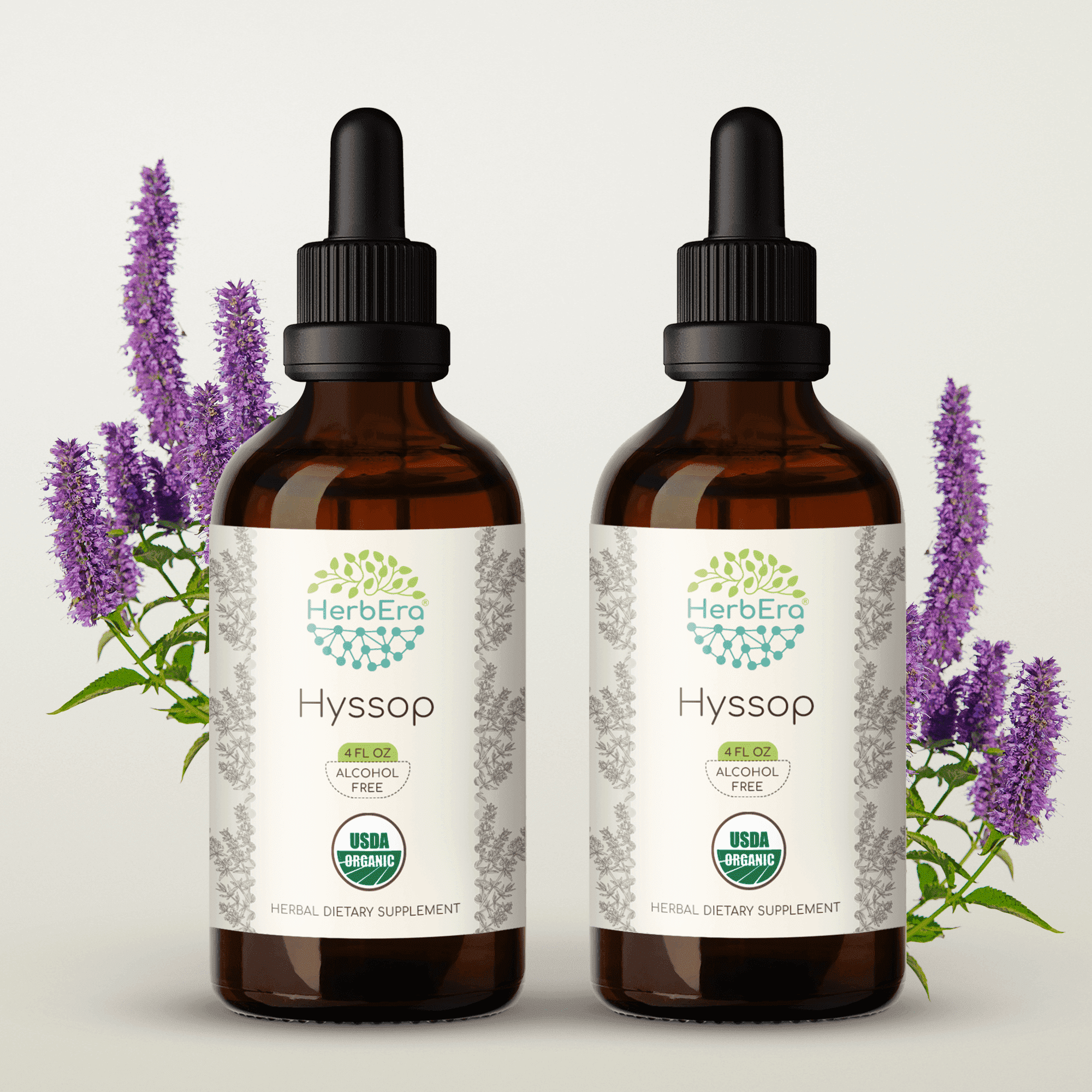 HerbEra Hyssop Tincture, Organic Herbal Dietary Supplement for ...