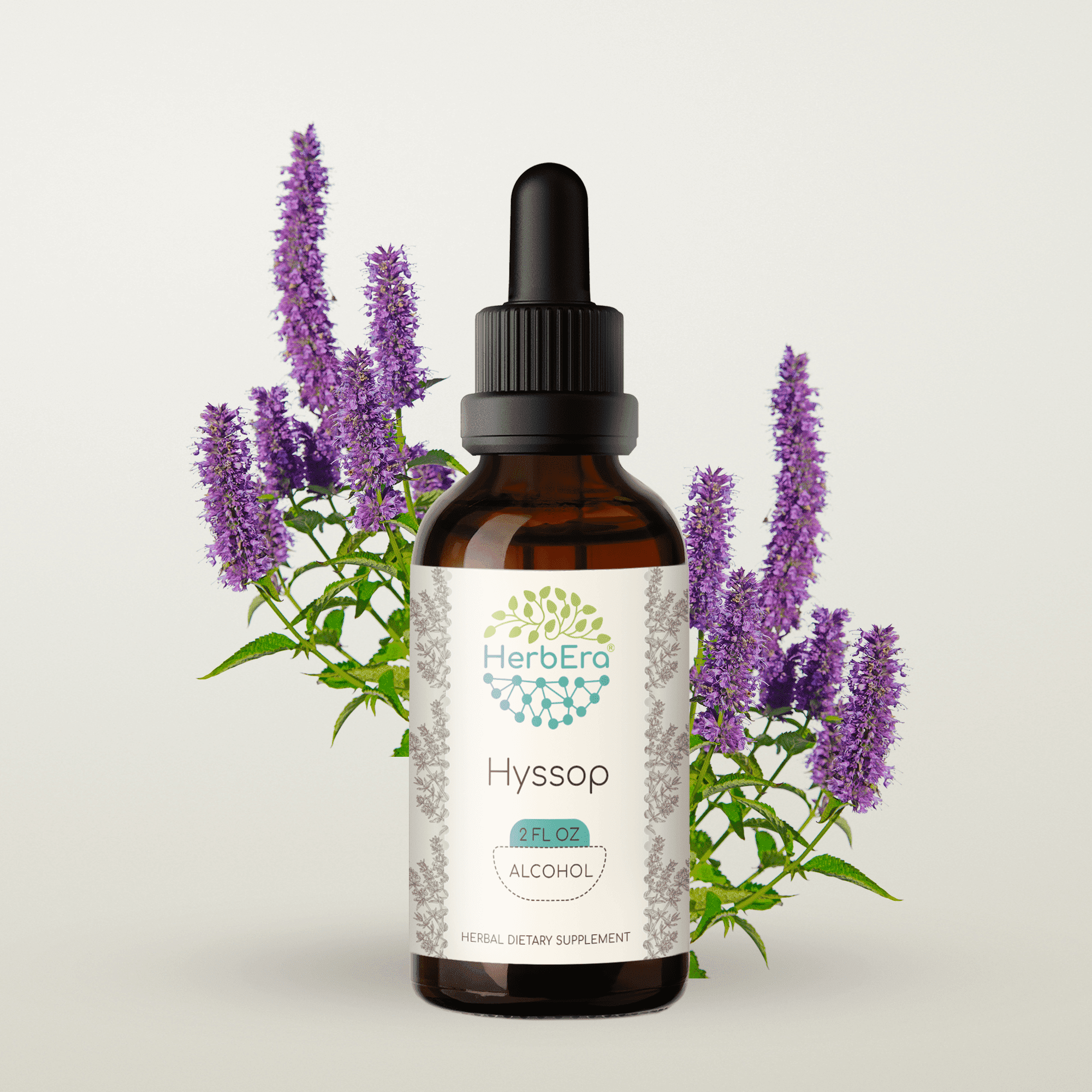 HerbEra Hyssop Tincture, Herbal Dietary Supplement for Respiratory ...
