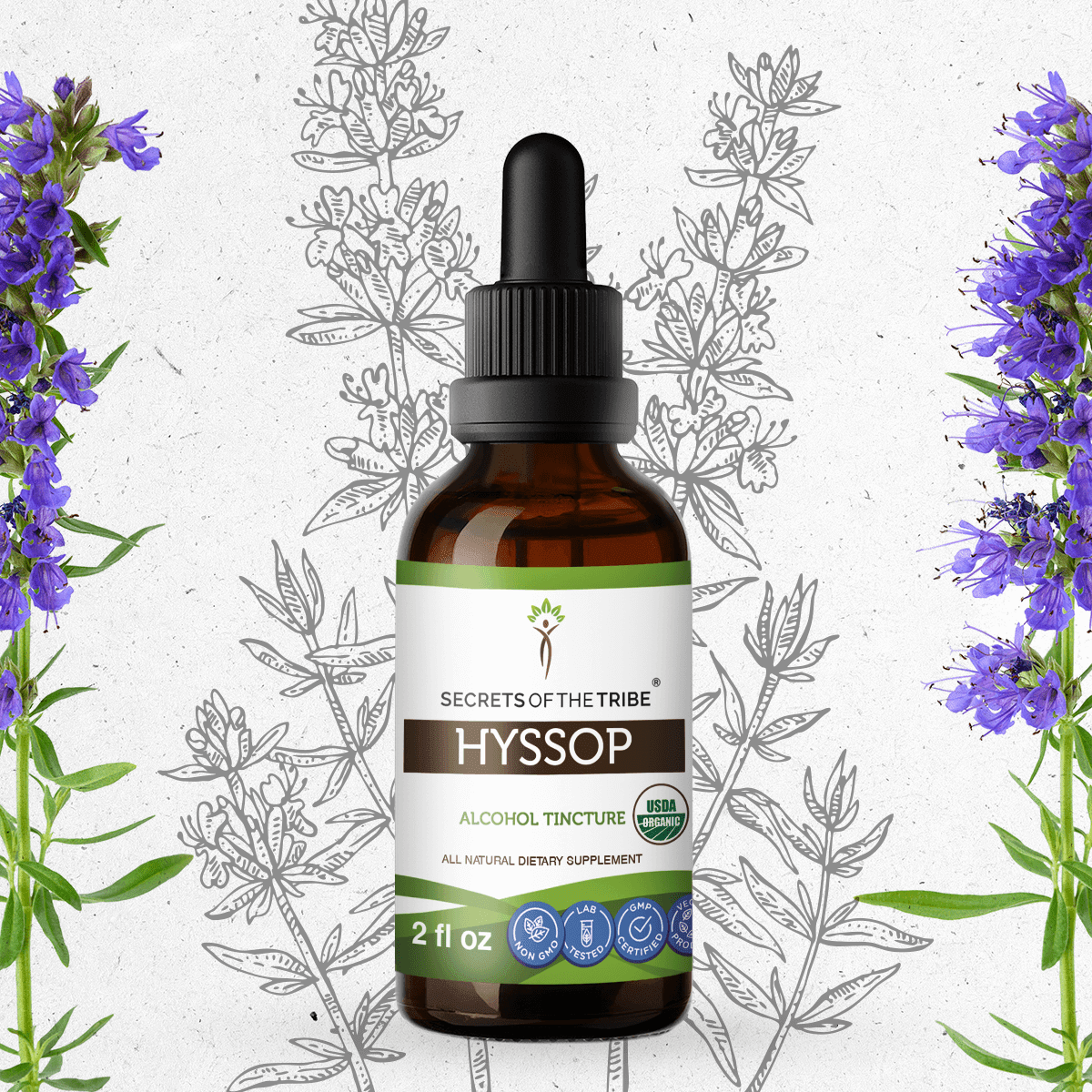 Hyssop Tincture Alcohol Extract, Organic Hyssop (Hyssopus officinalis ...