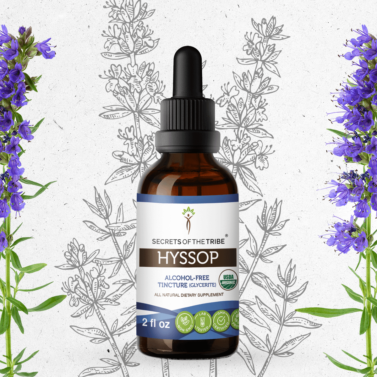 Secrets Of The Tribe Hyssop Organic Tincture Dietary Supplement ...