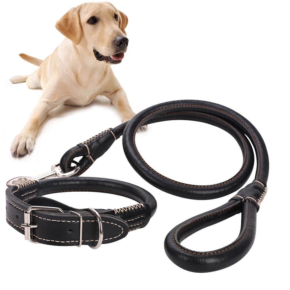 Hytrove 1Pack Traction Rope for Dog in Black Color Suitable for Small ...
