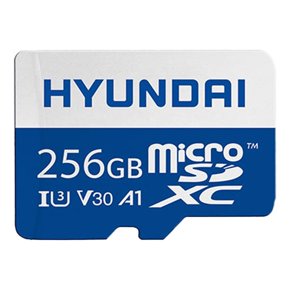 256 GB Memory Cards