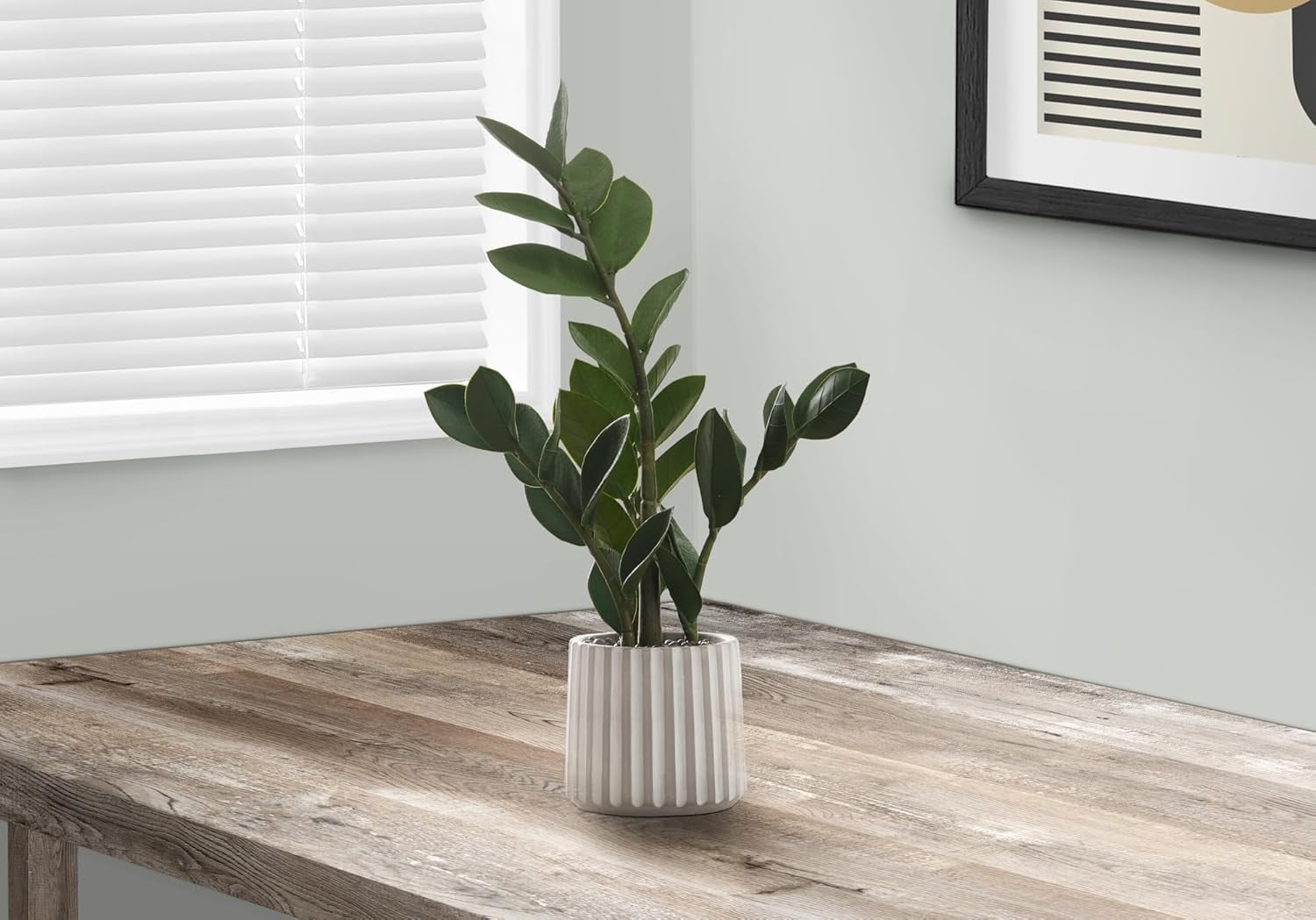 I 9500 Artificial Plant, 20" Tall, Zz, Indoor, Faux, Fake, Table ...