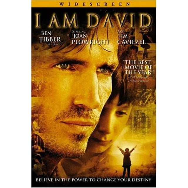 I Am David - I Am David - Drama - DVD - Walmart.com