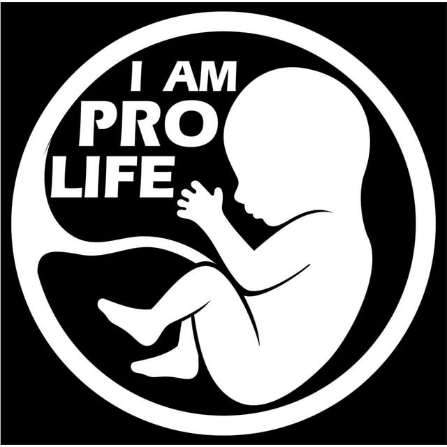 I Am Pro Life Pro-Life Vinyl Cut-Out Sticker - Walmart.com