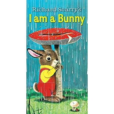 Not a Box Not a Box Board Book, (Board Book) - Walmart.com