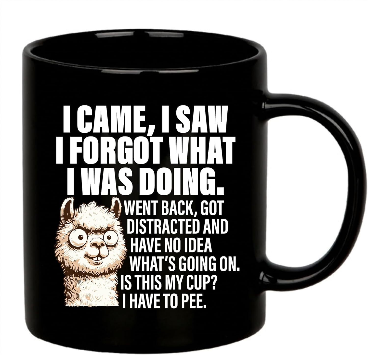 I Came I Saw I Forgat What I Was Doing Old People Elderly Gifts for ...